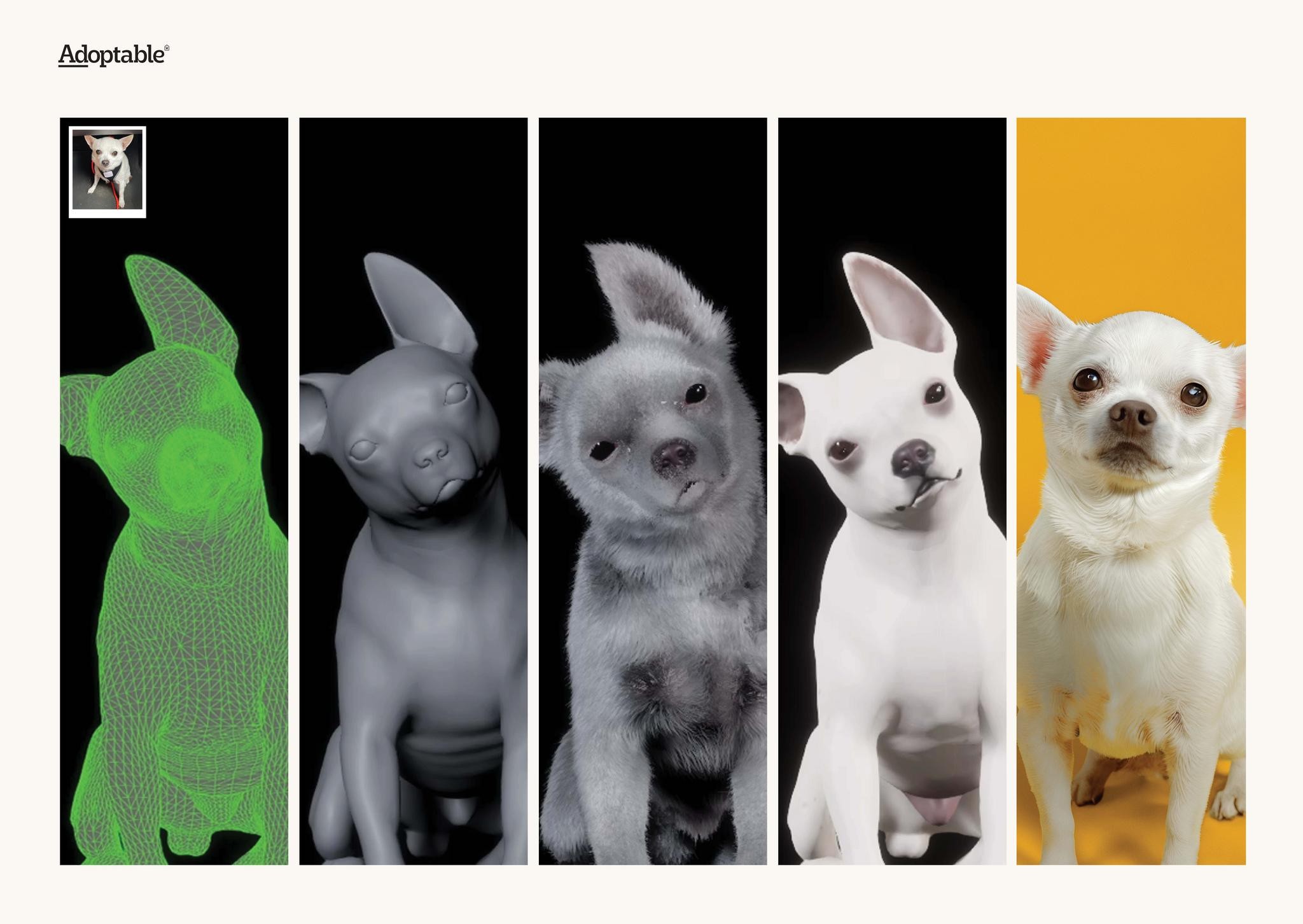 ADOPTABLE. BY PEDIGREE | Entry | THE WORK