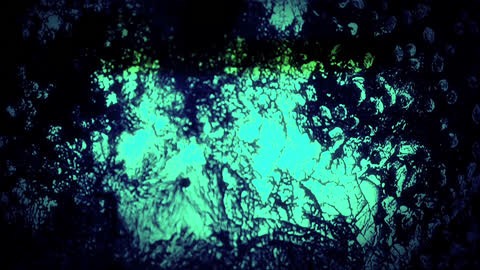 SCARY GOOD JOB | Campaign | THE WORK