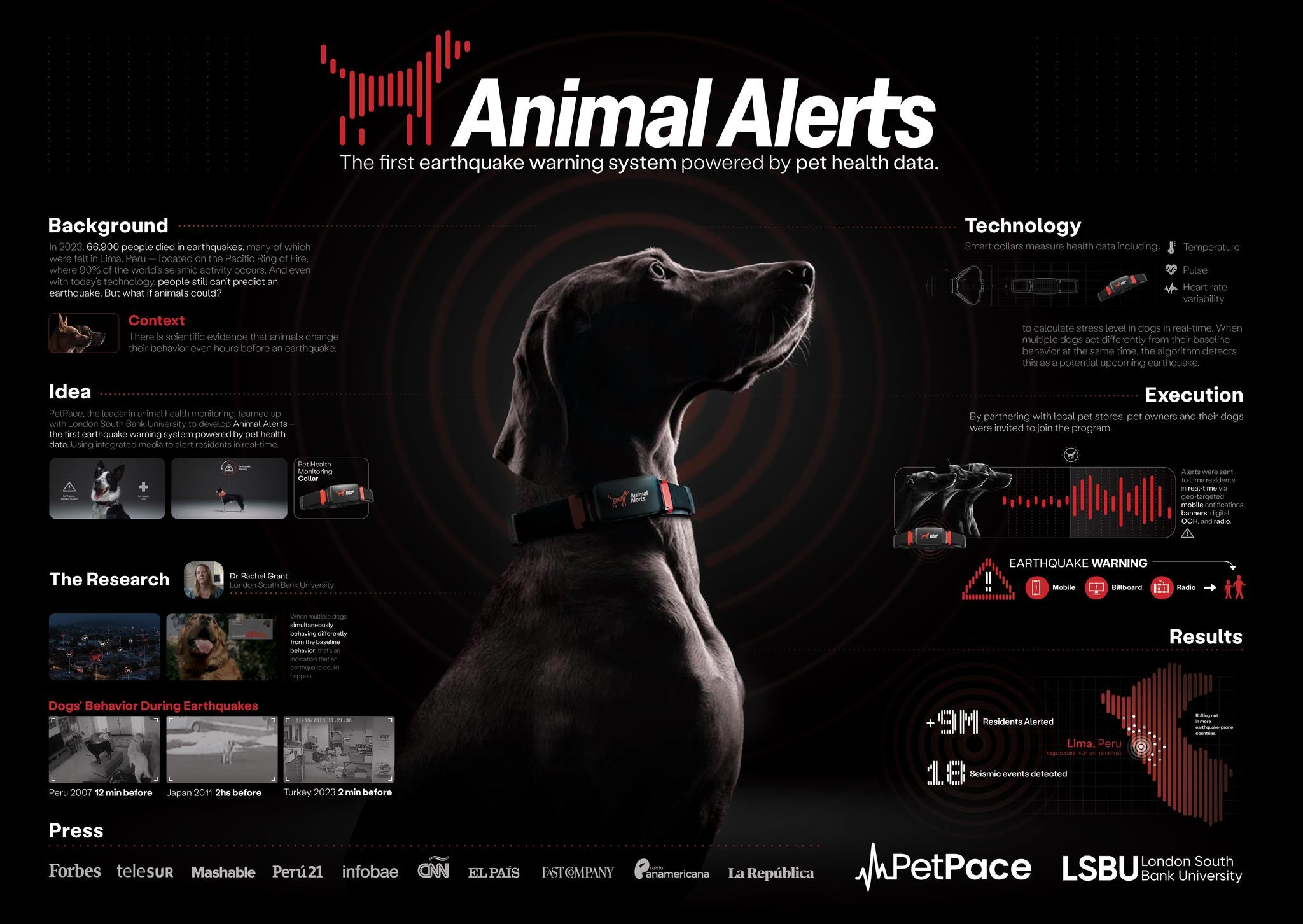 ANIMAL ALERTS | Entry | THE WORK