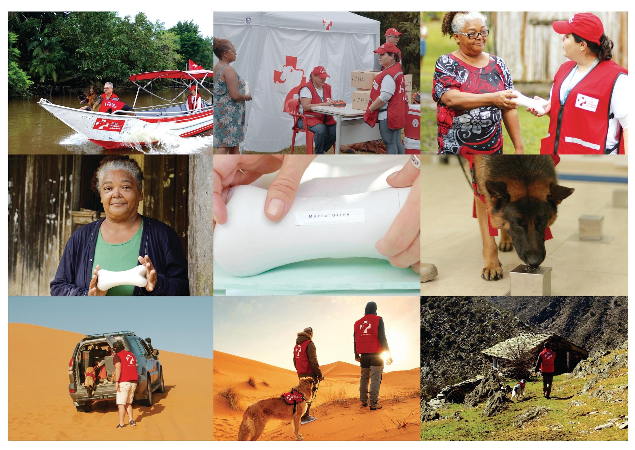 Dogs Without Borders | Campaign | THE WORK
