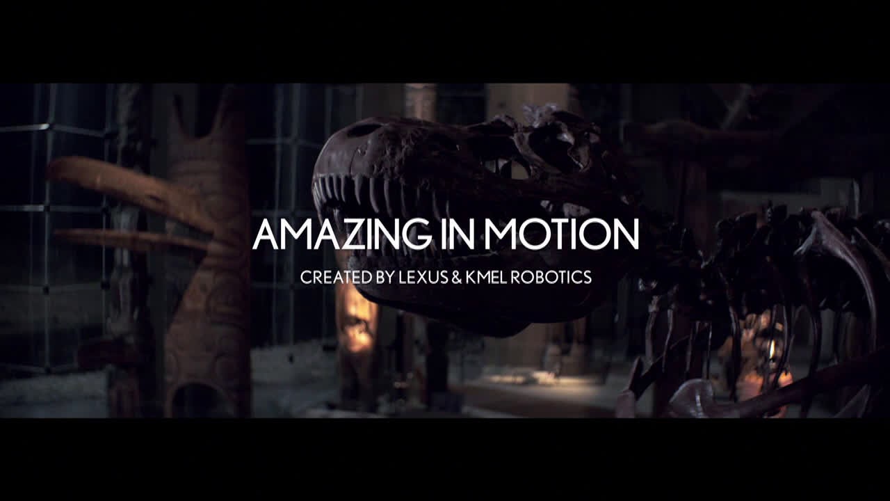 SWARM | Campaign | THE WORK