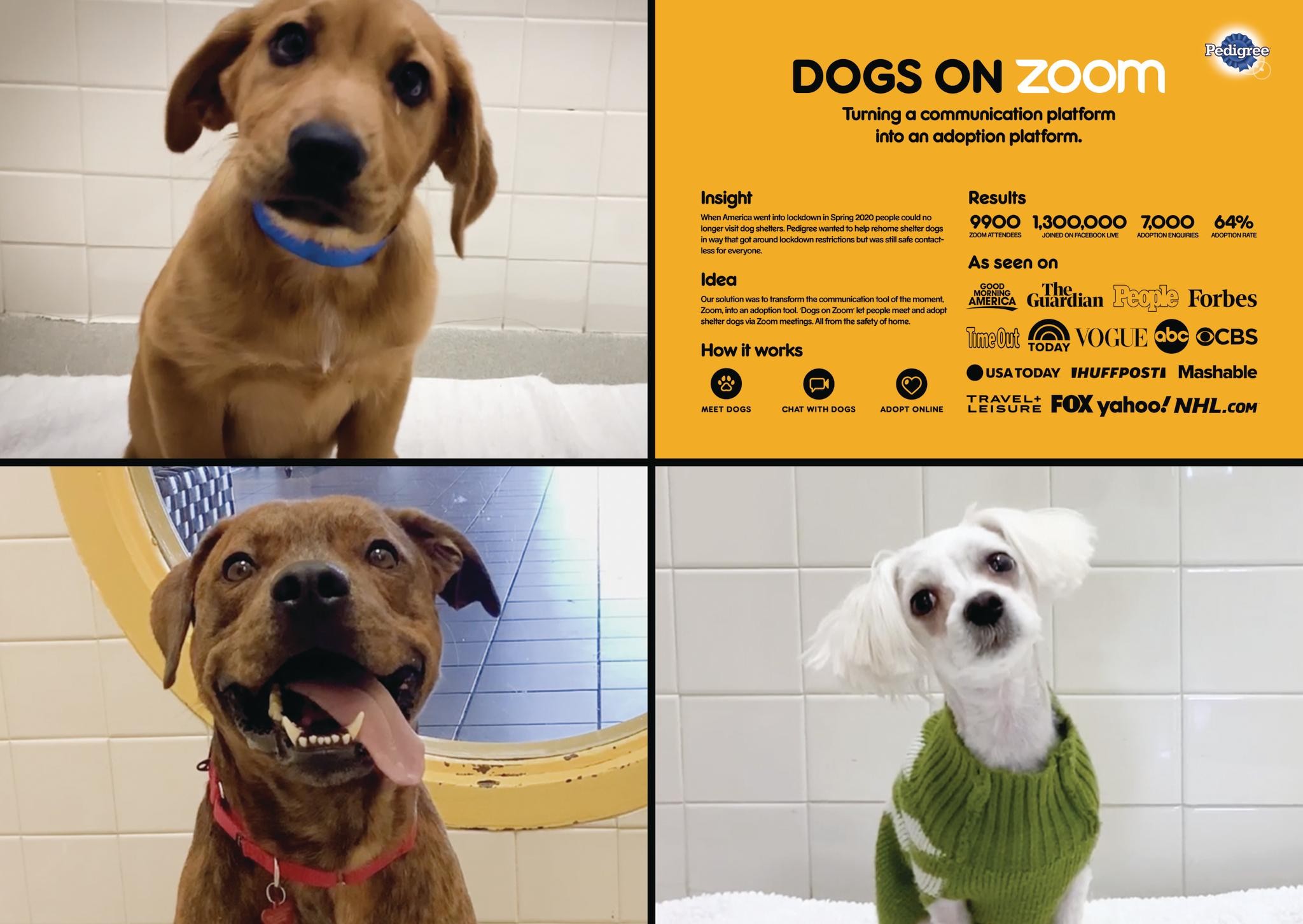 Dogs on Zoom | Campaign | THE WORK