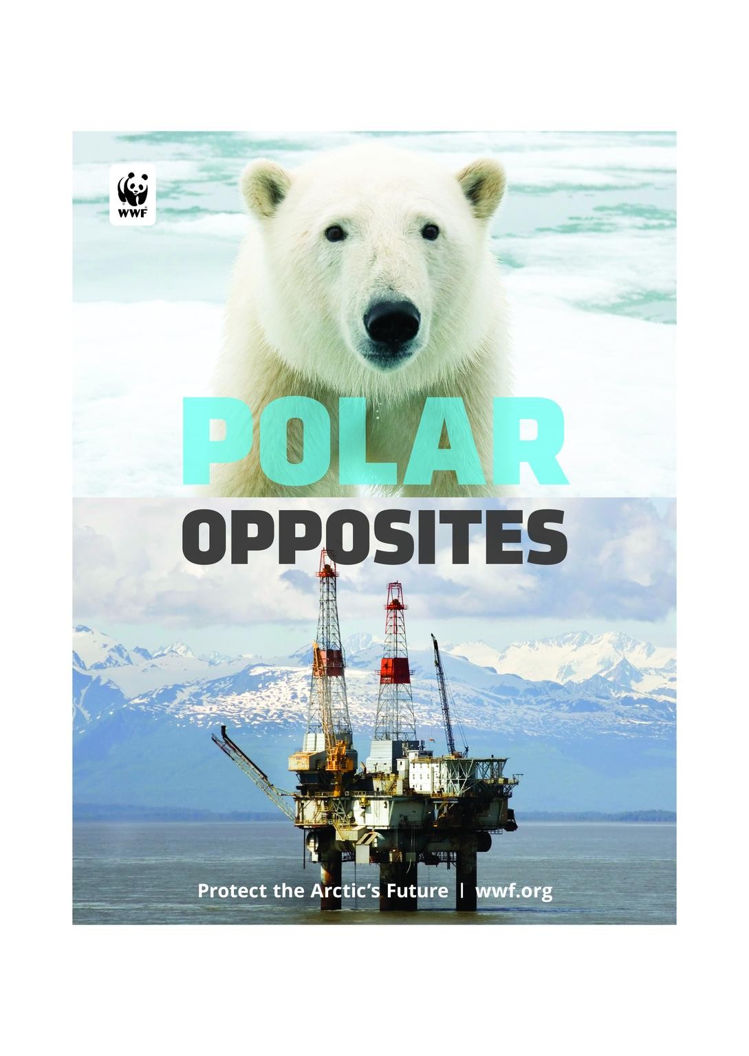 WWF Word Play | Campaign | THE WORK