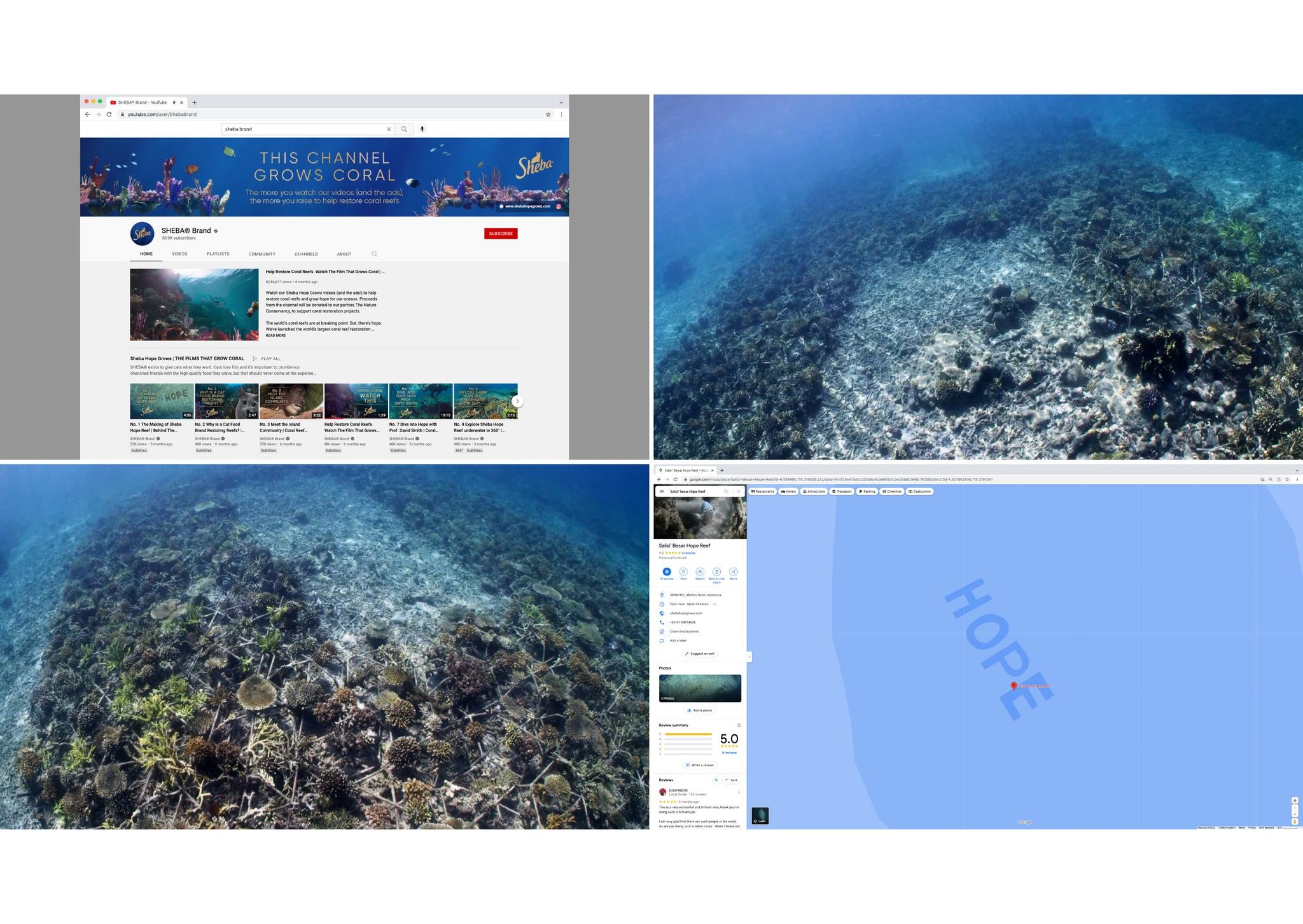 HOPE REEF | Entry | THE WORK