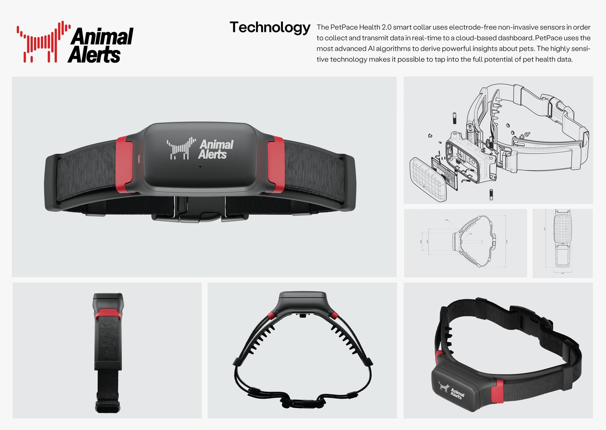 Animal Alerts | Campaign | THE WORK