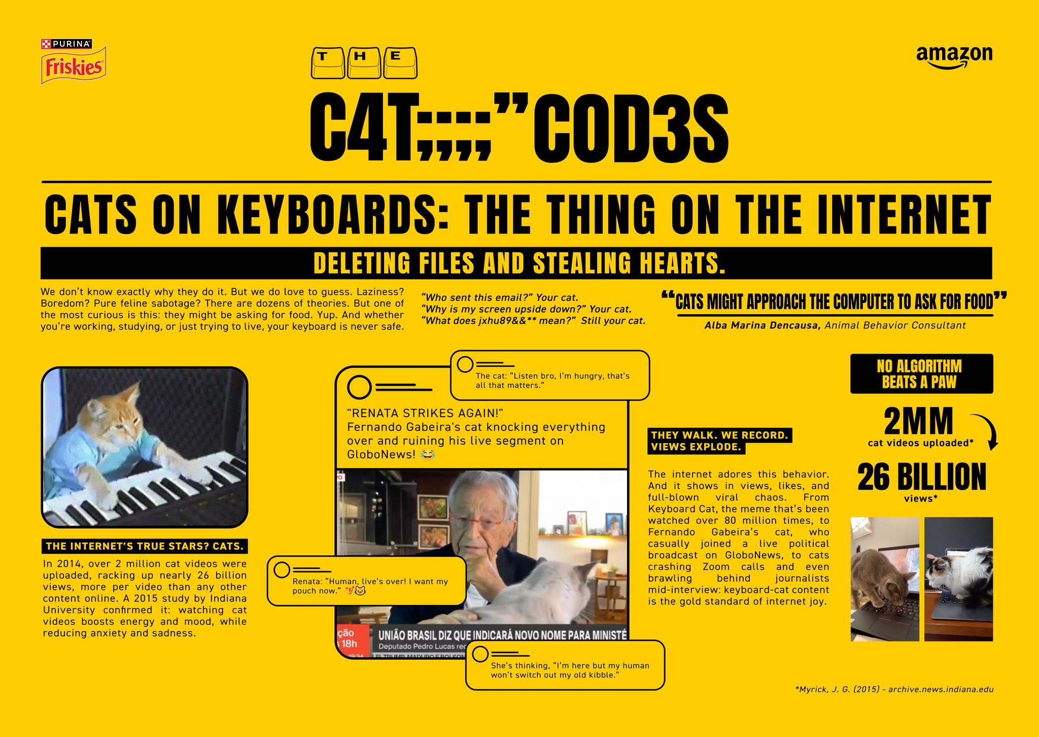 The Cat Codes | Campaign | THE WORK