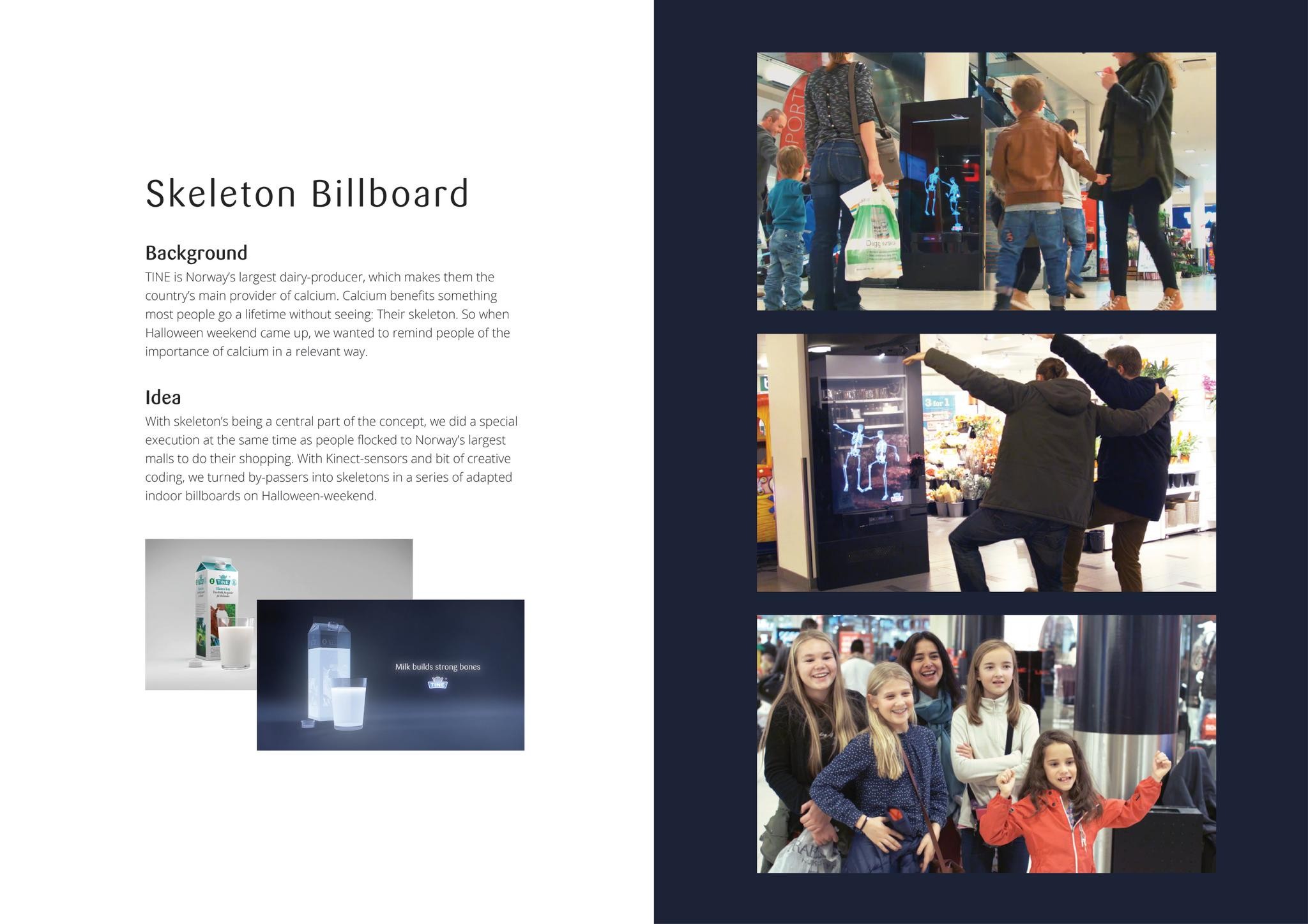 TINE SKELETON BOARD | Campaign | THE WORK