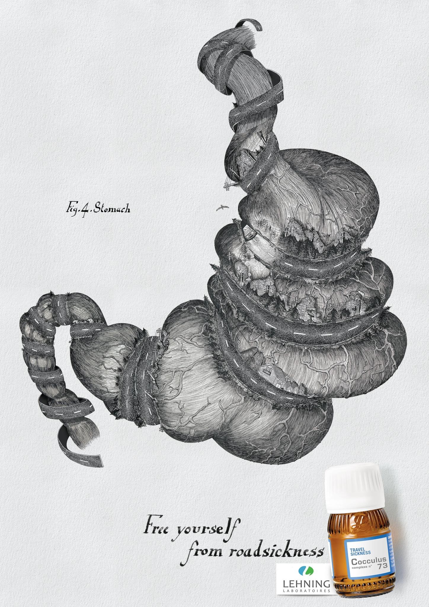 MOUTAIN ROAD | Entry | THE WORK