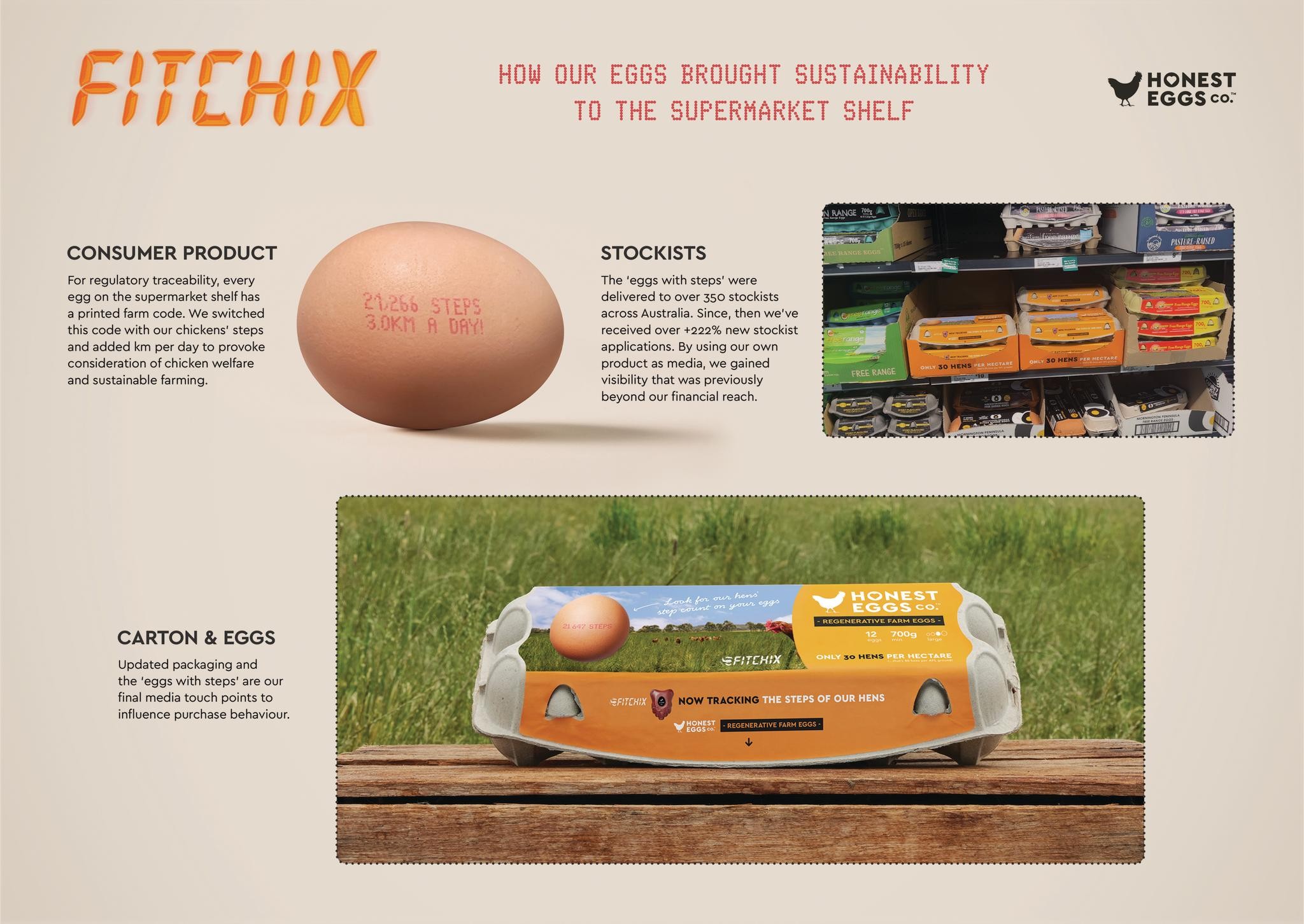 FITCHIX | Entry | THE WORK