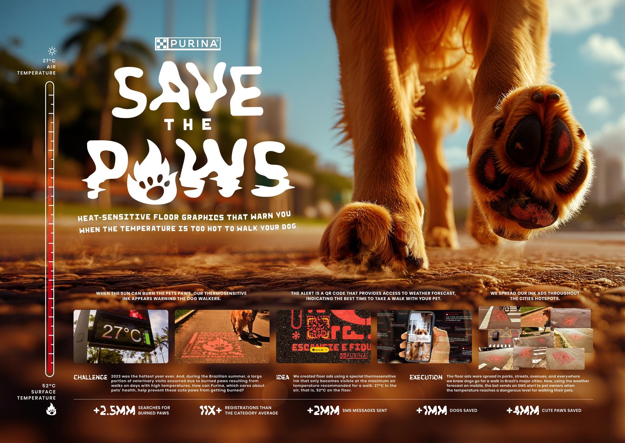 Save the Paws | Campaign | THE WORK