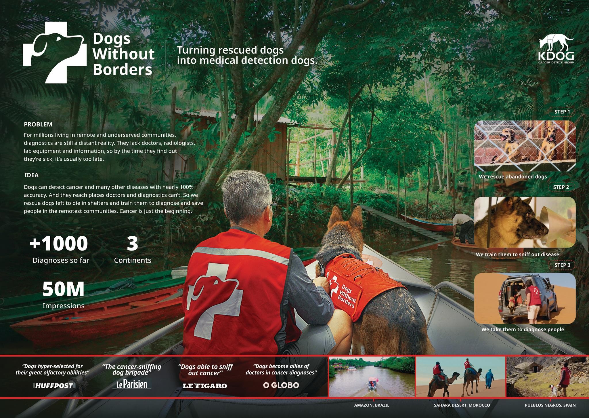 Dogs Without Borders | Campaign | THE WORK