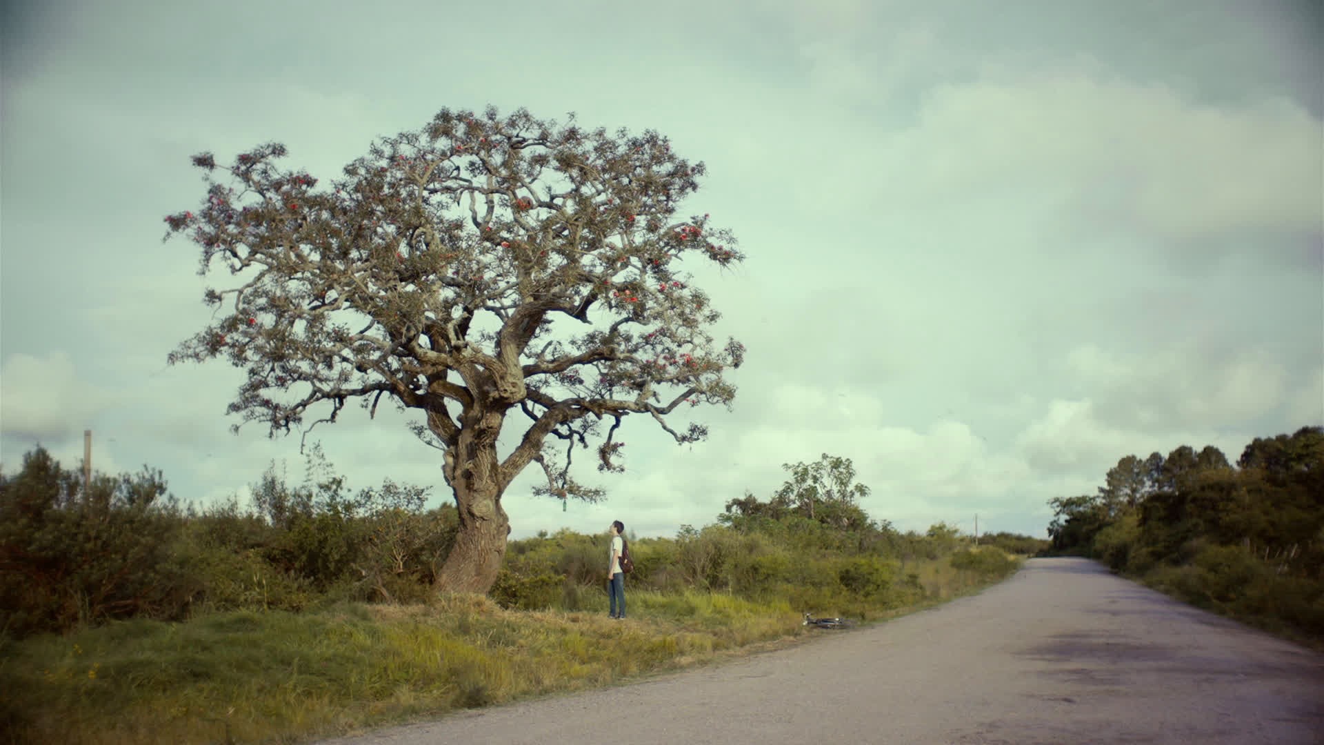 Ambition | Campaign | THE WORK