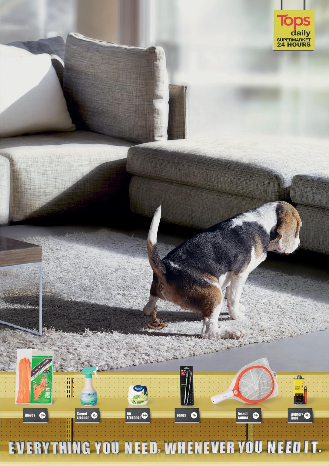 24 hours campaign - The dog poo | Campaign | THE WORK