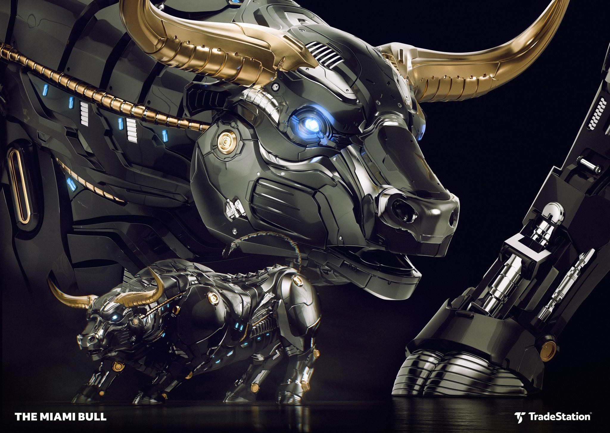 THE MIAMI BULL | Entry | THE WORK