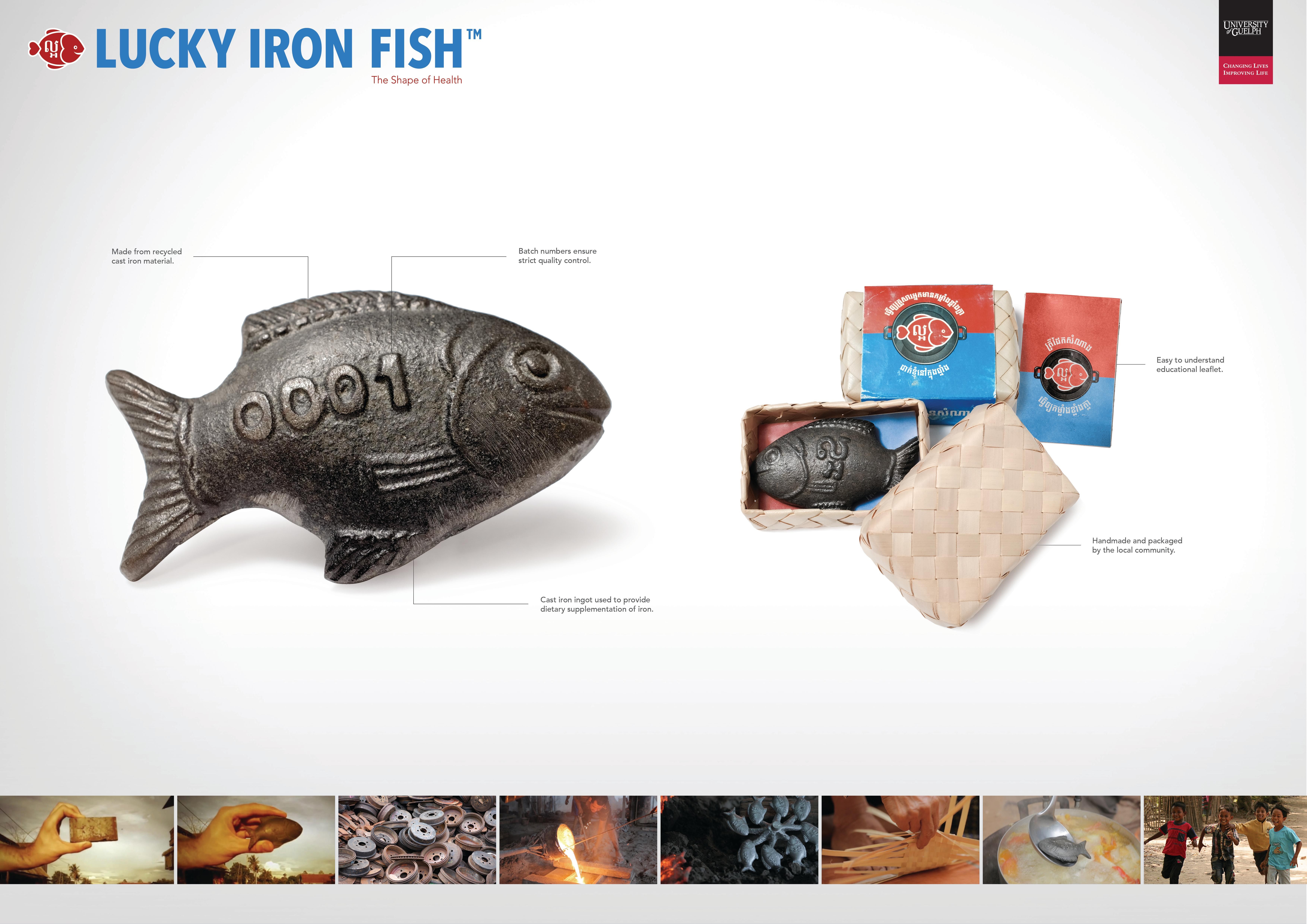 THE LUCKY IRON FISH PROJECT | Campaign | THE WORK