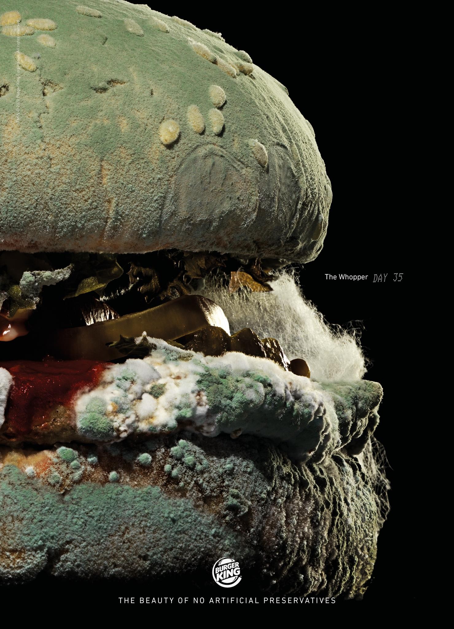 Moldy Whopper | Campaign | THE WORK
