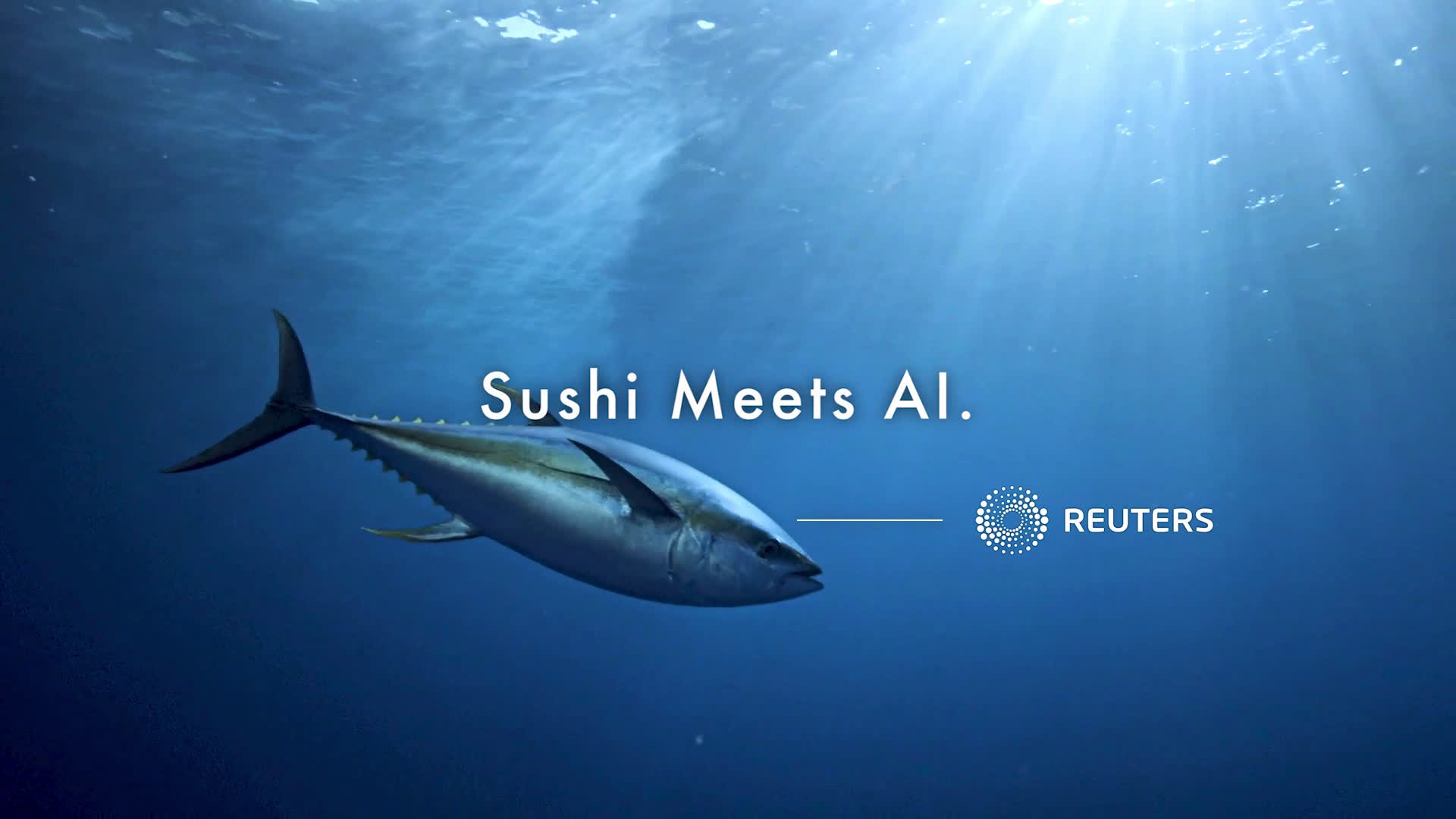 TUNA SCOPE 2021 | Entry | THE WORK