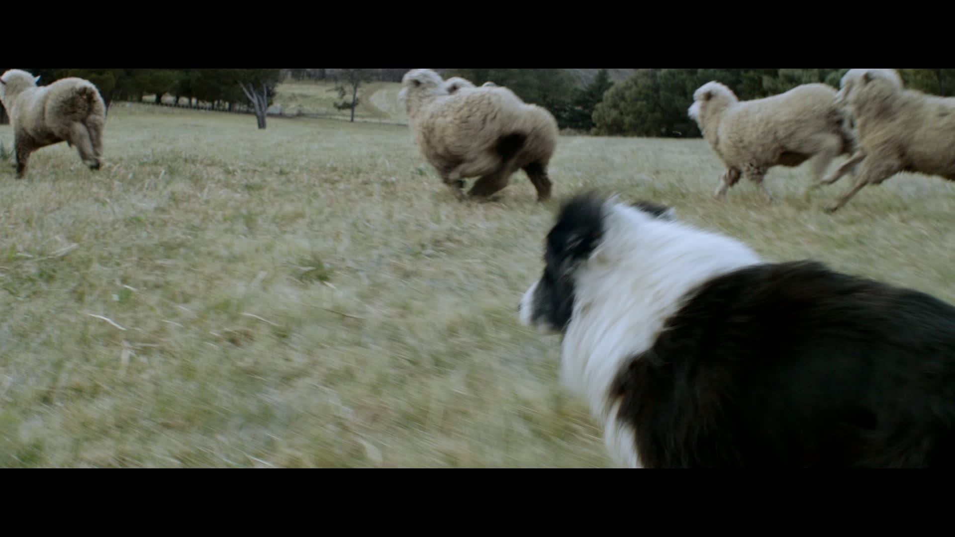 Never stop searching | Campaign | THE WORK