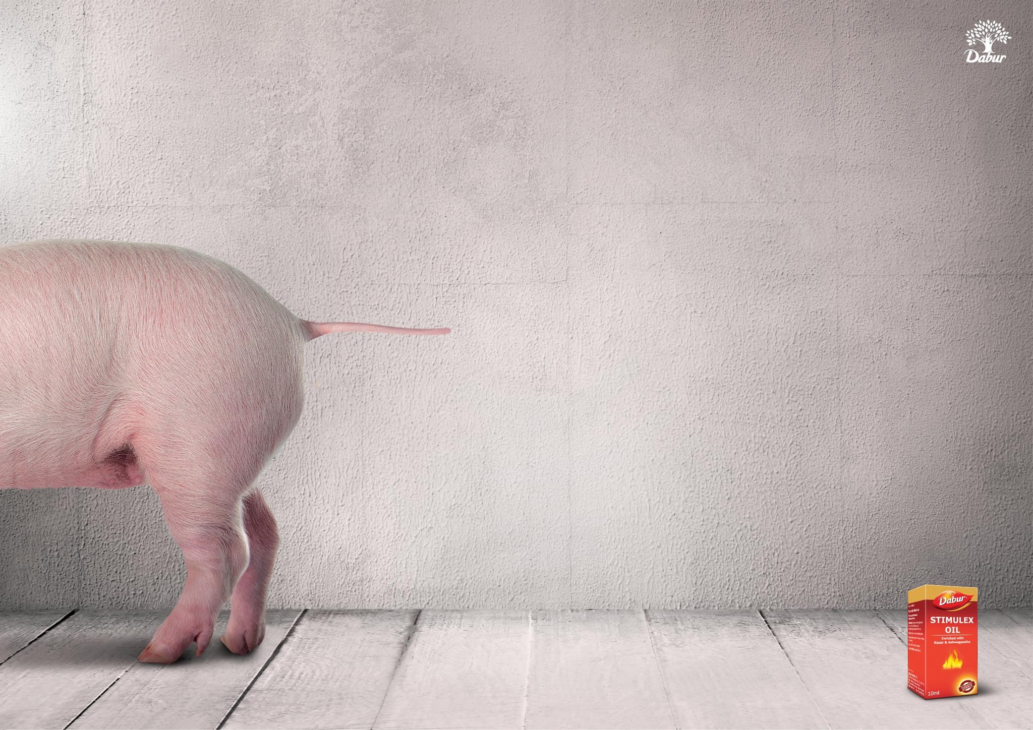 PIG | Campaign | THE WORK