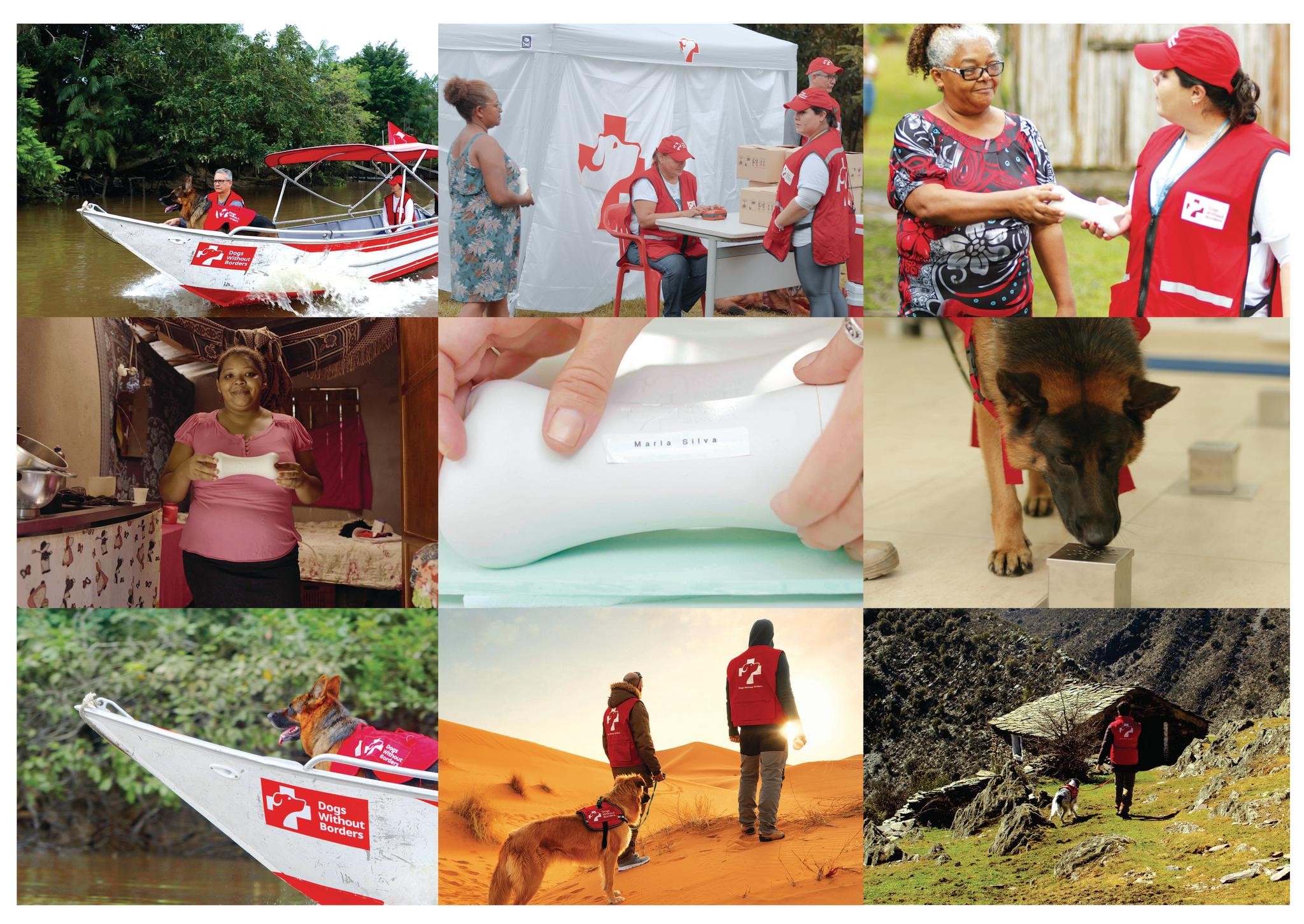Dogs Without Borders | Campaign | THE WORK