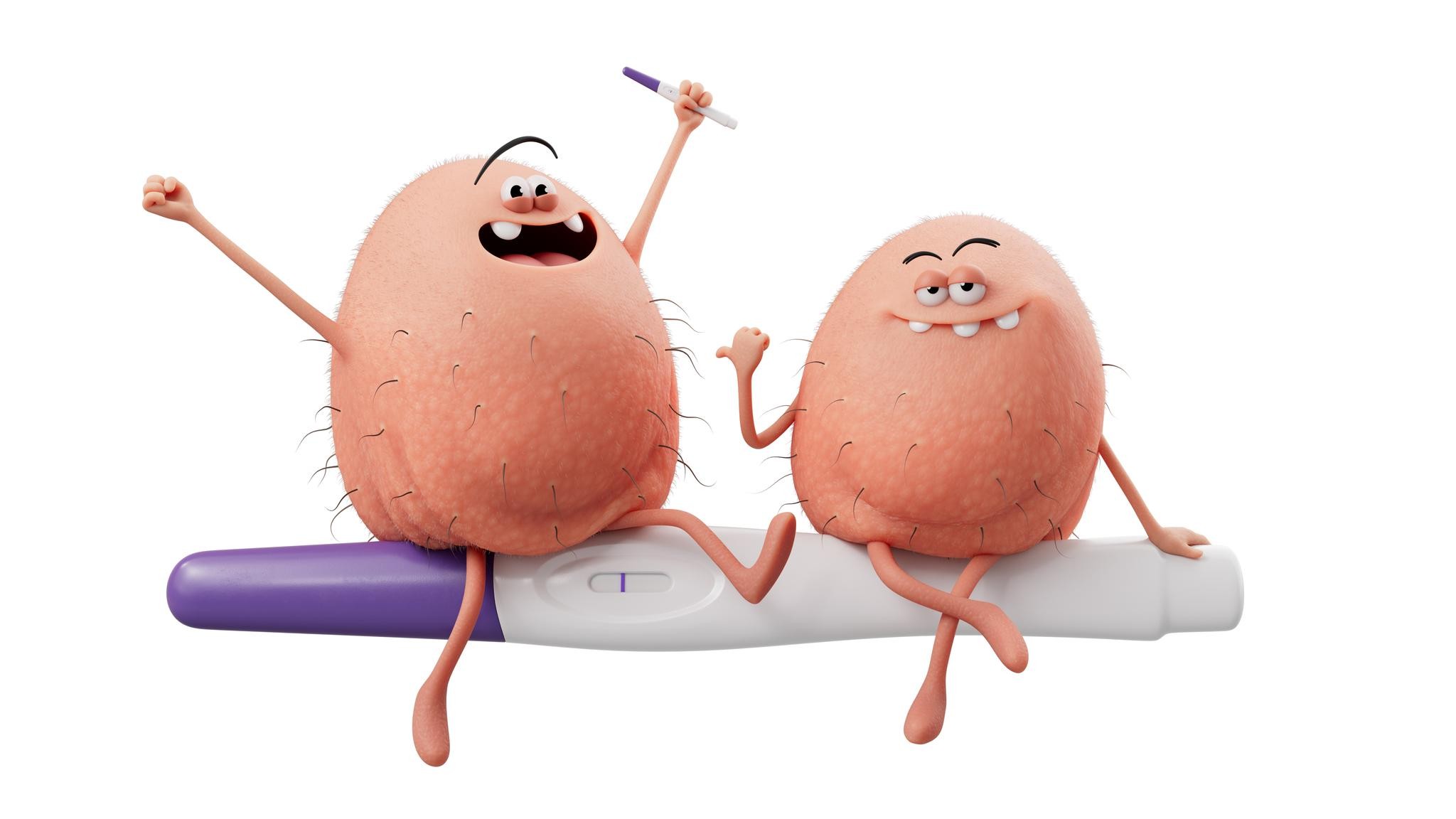 TEST-ICLES | Campaign | THE WORK