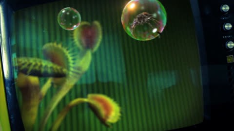 RTÉ2 REBRAND | Campaign | THE WORK