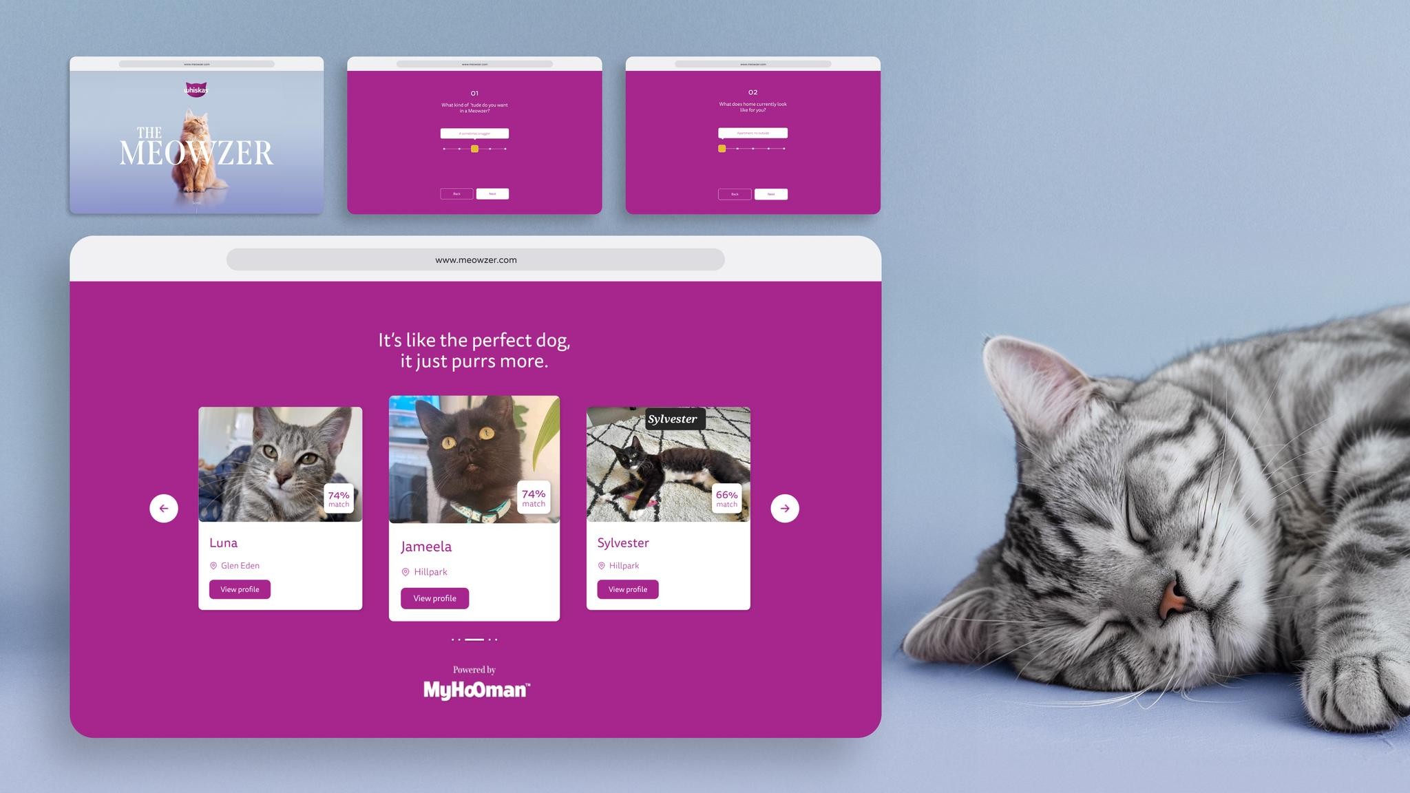 Meowzer | Campaign | THE WORK