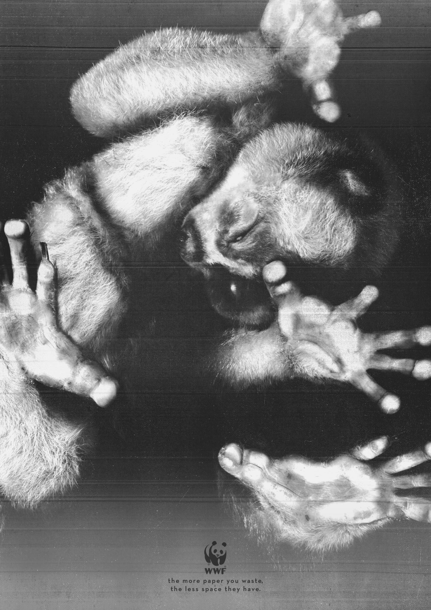 WWF - Save Paper Campaign | Campaign | THE WORK