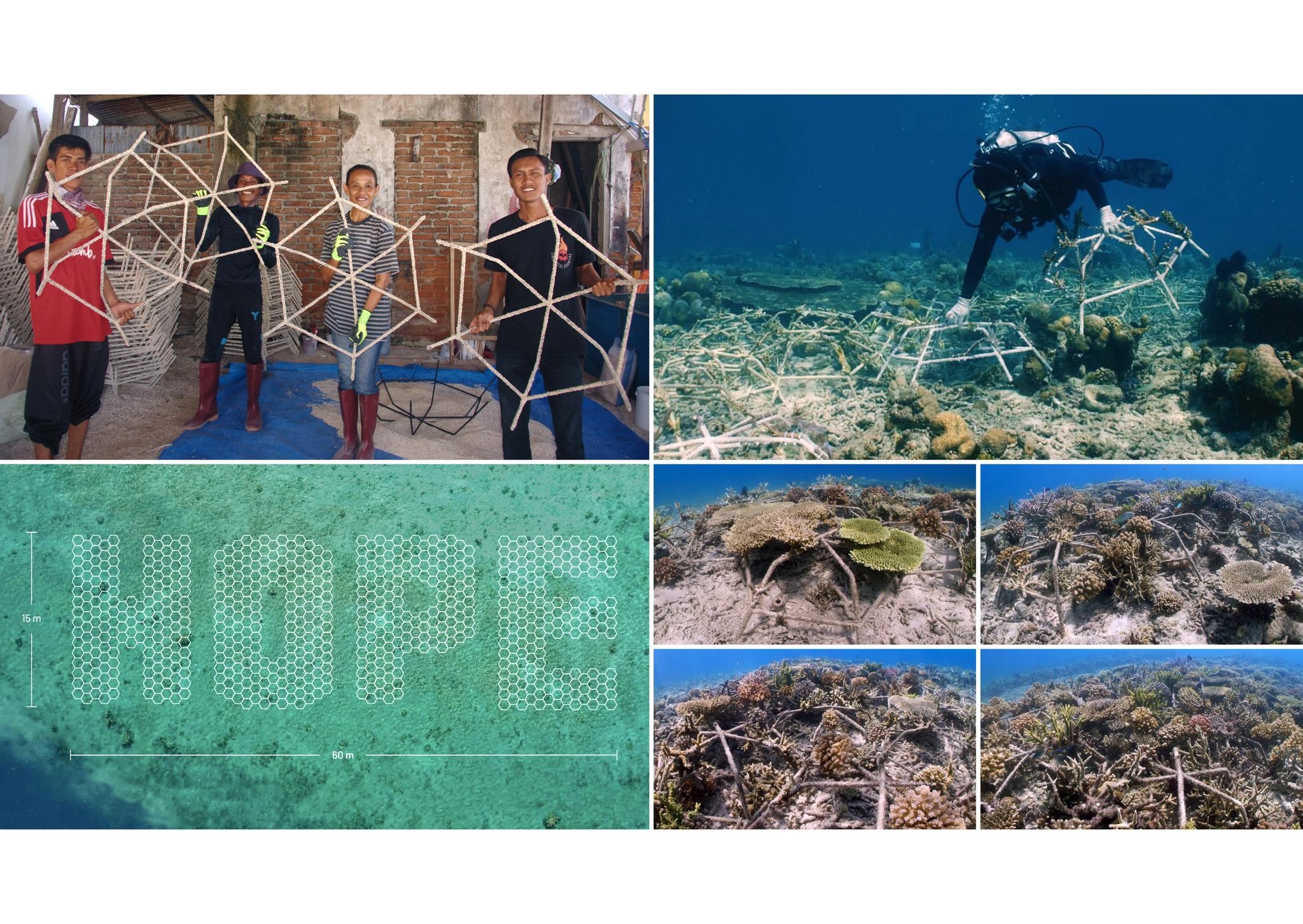 HOPE REEF | Entry | THE WORK