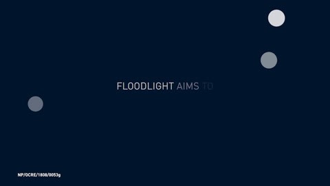 Floodlight: See Beyond the Surface | Campaign | THE WORK