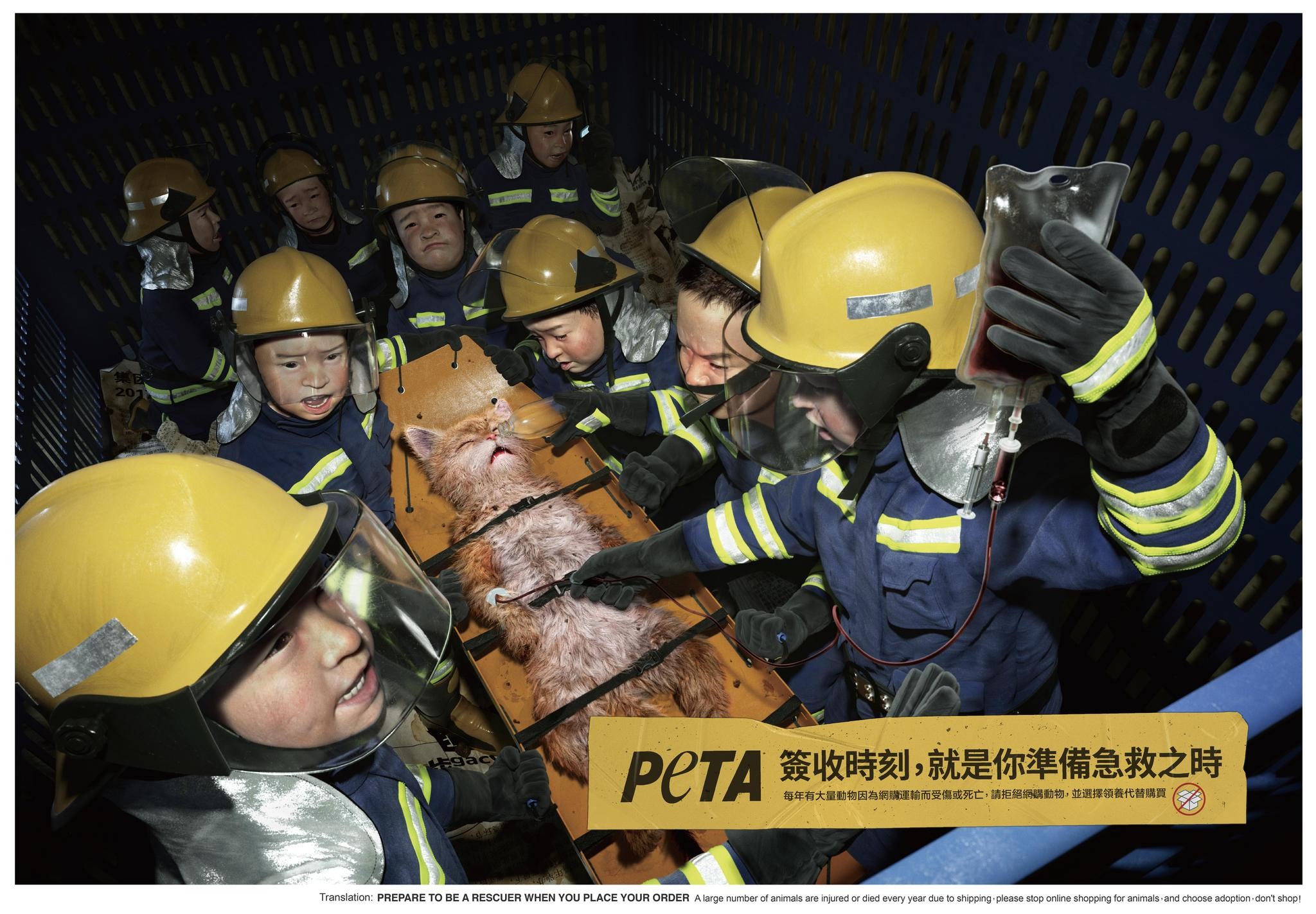 PETA-#RESCUE | Entry | THE WORK