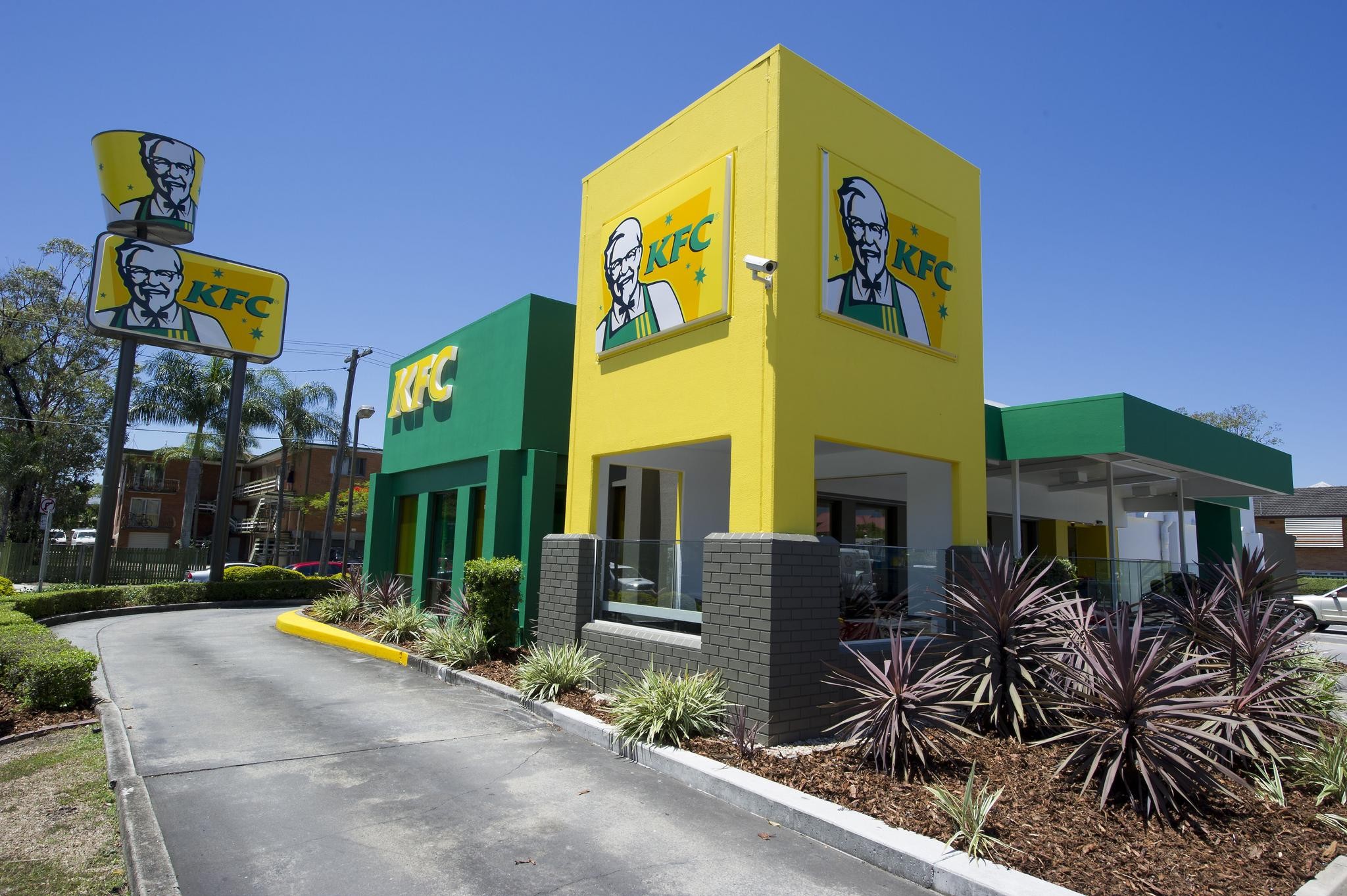 KFC GREEN AND GOLD | Entry | THE WORK