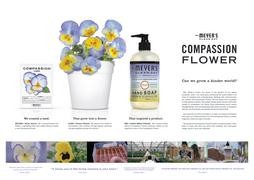 COMPASSION FLOWER | Entry | THE WORK