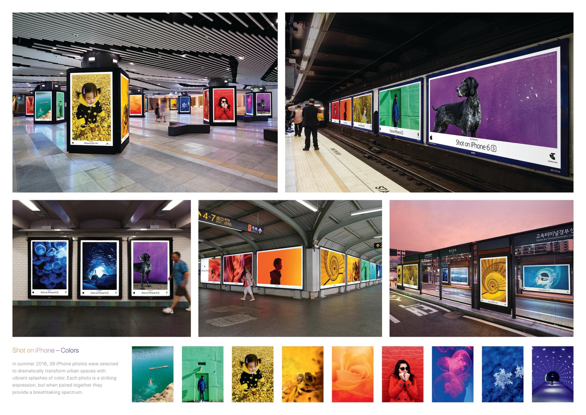 Shot on iPhone: Colors | Campaign | THE WORK