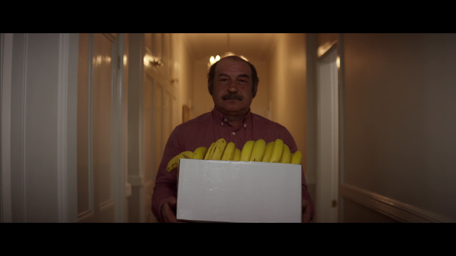Aldi Fresh - Bananas | Campaign | THE WORK