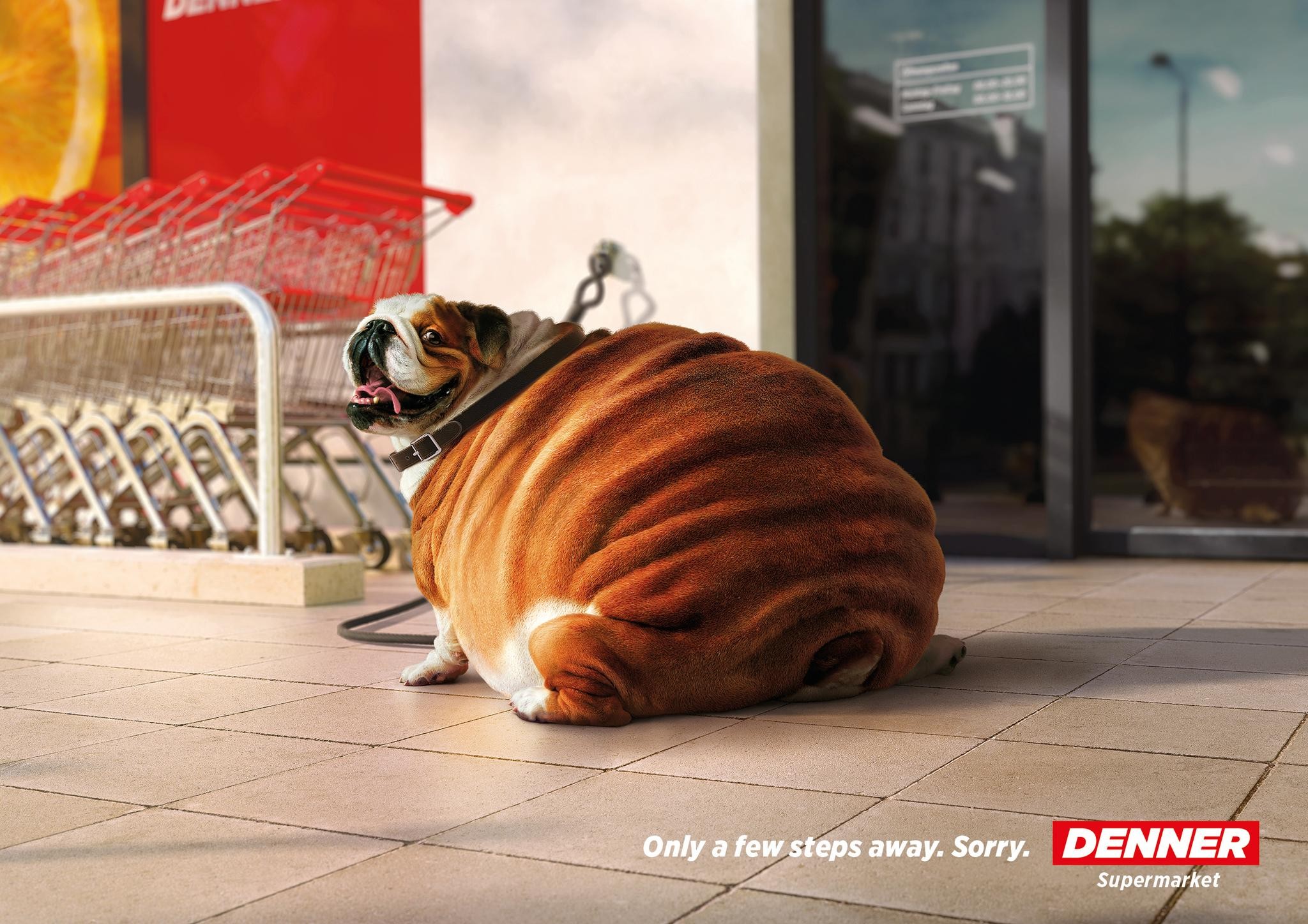 Fat Dogs | Campaign | THE WORK