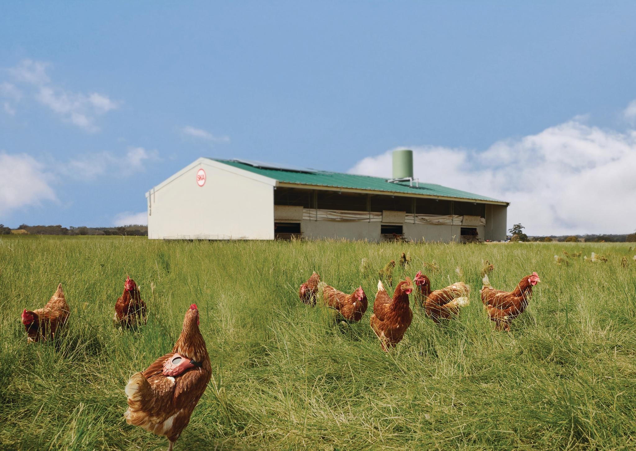 FITCHIX | Entry | THE WORK