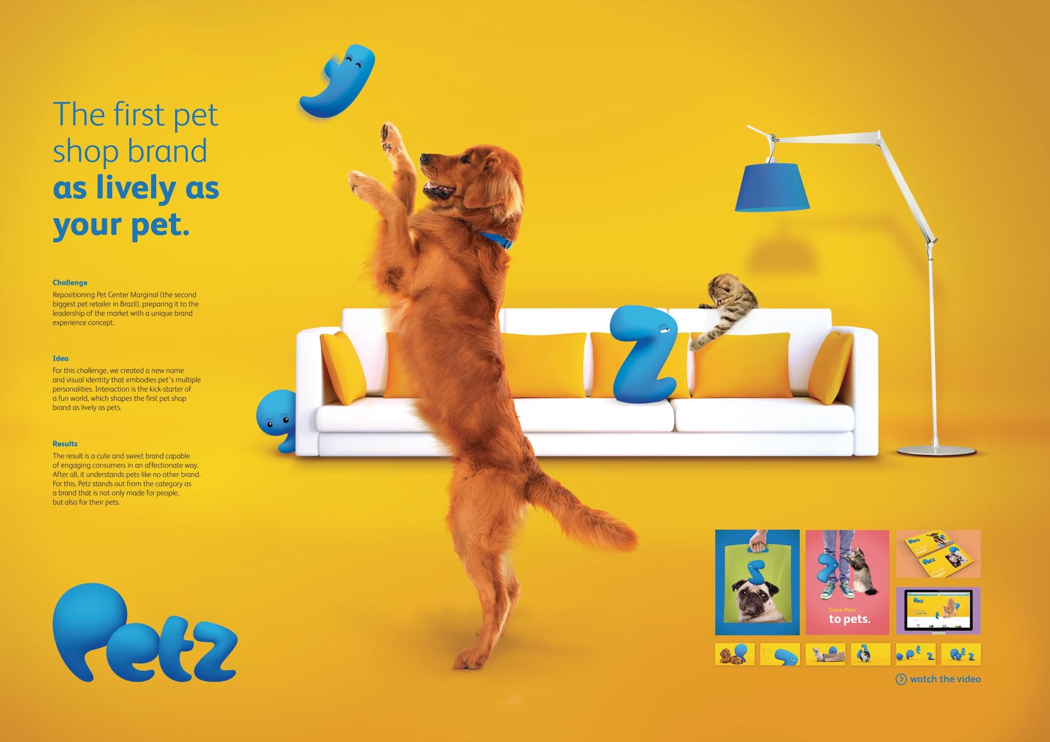 PETZ BRAND IDENTITY | Campaign | THE WORK