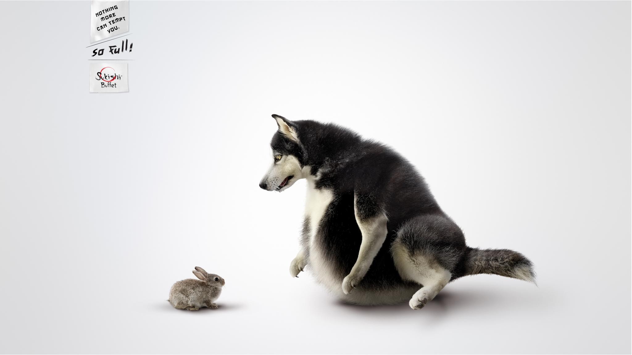 SUKISHI INTERGROUP CO.,LTD. | Campaign | THE WORK