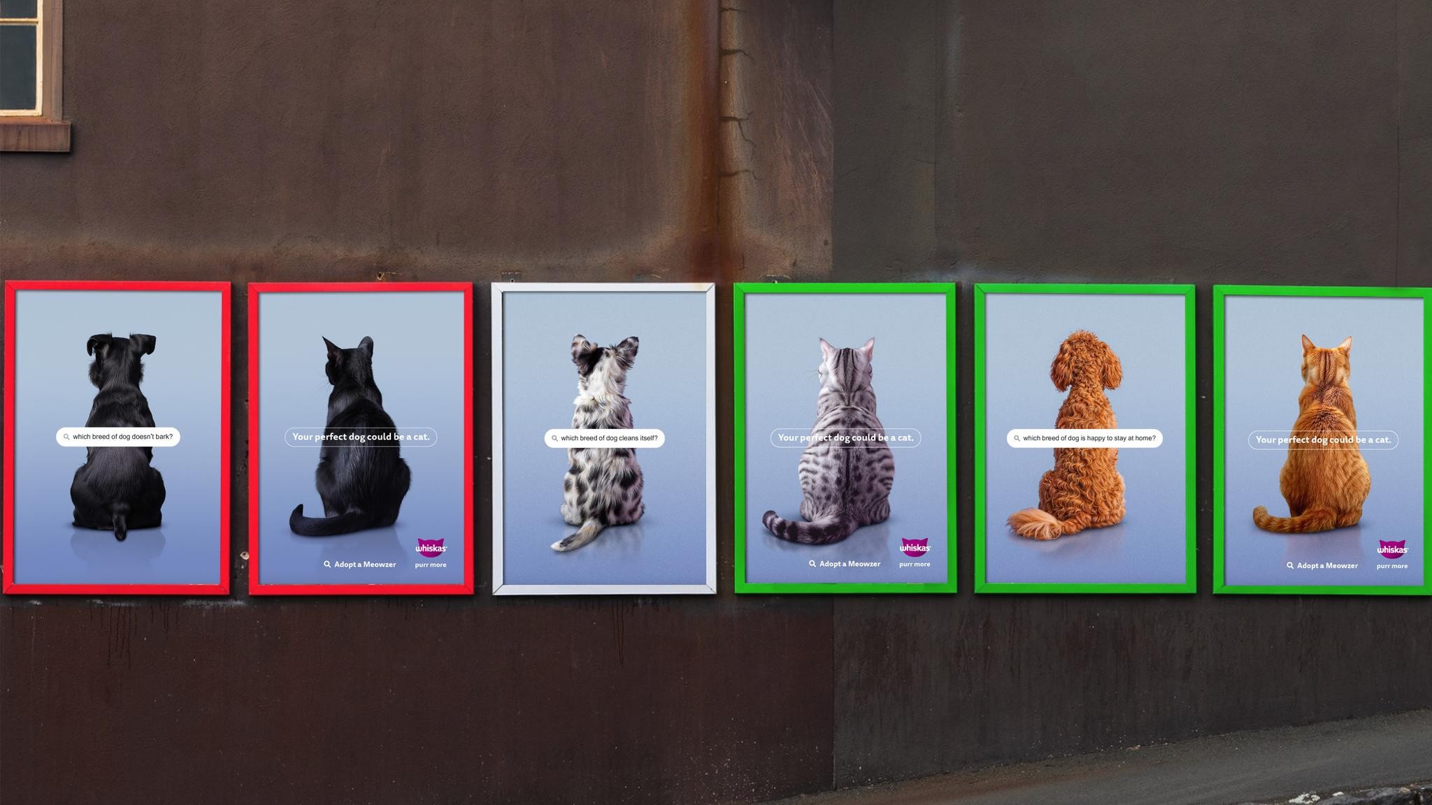 Meowzer | Campaign | THE WORK