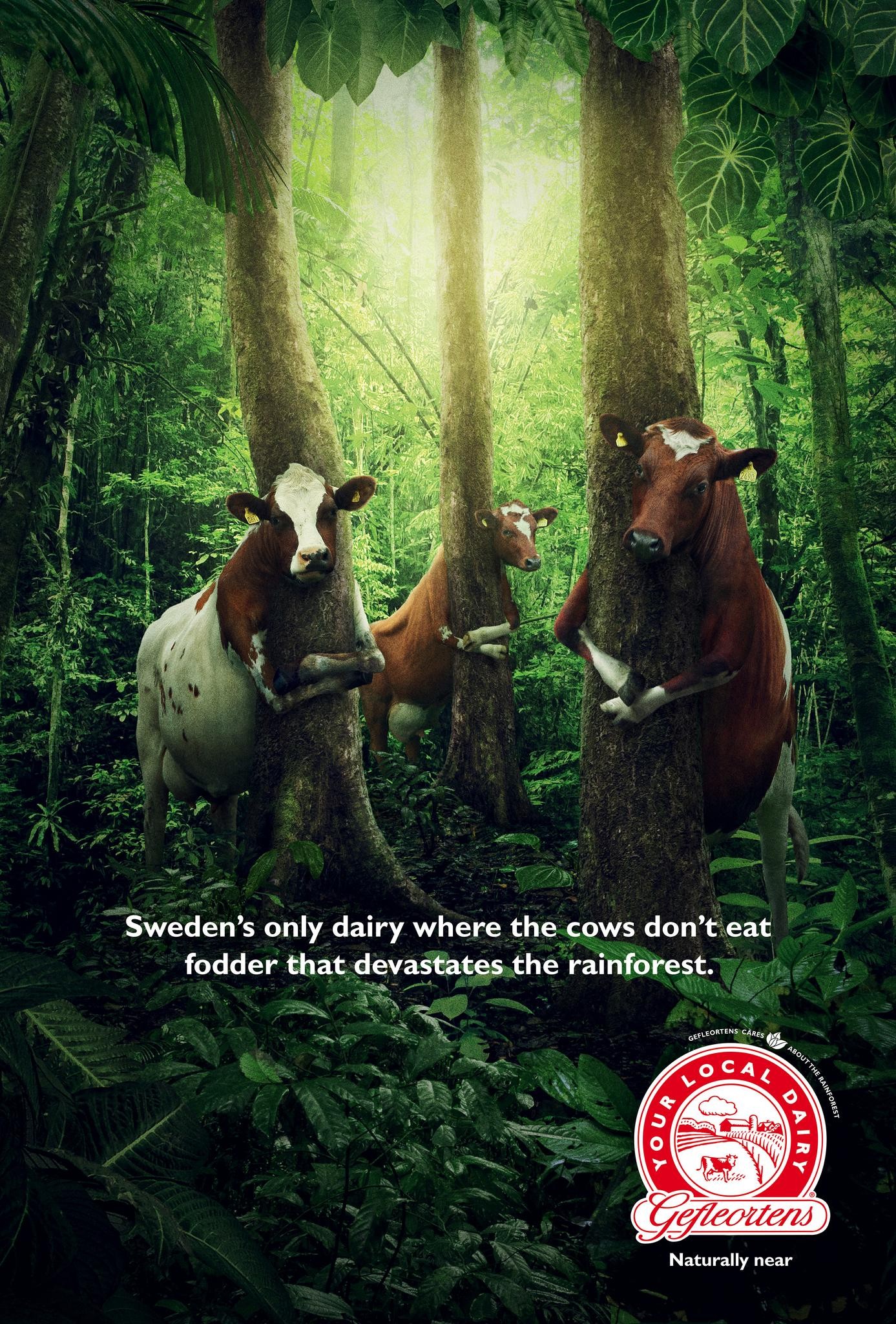 TREE HUGGING COWS | Campaign | THE WORK