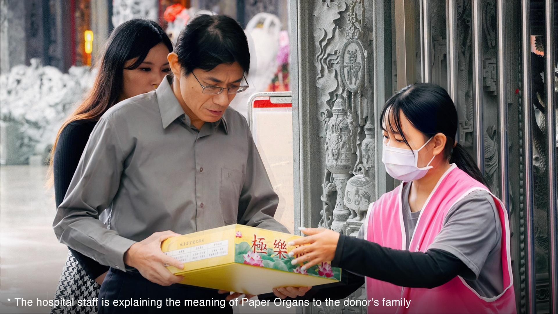 Paper Organs | Campaign | THE WORK