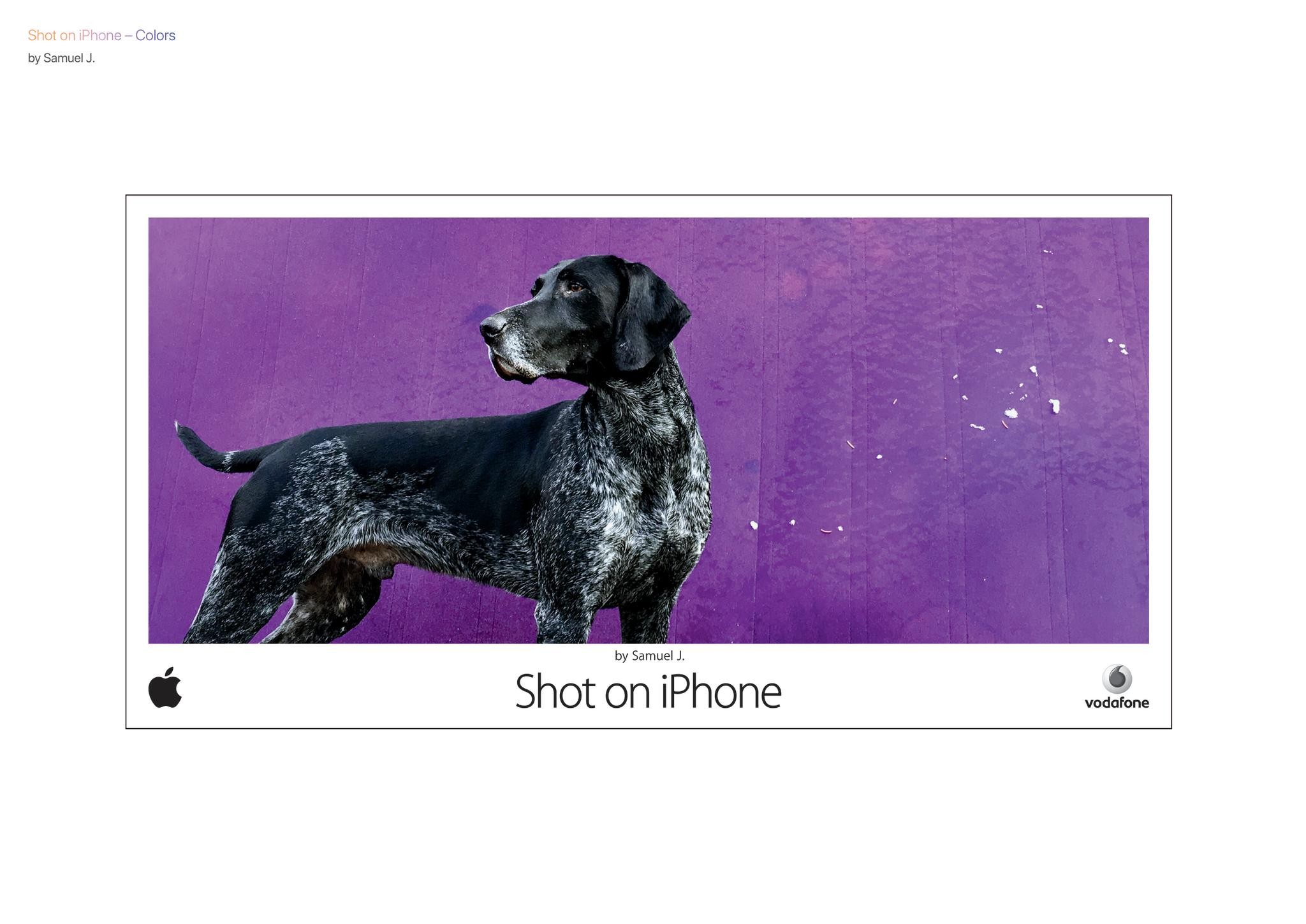 Shot on iPhone: Colors | Campaign | THE WORK