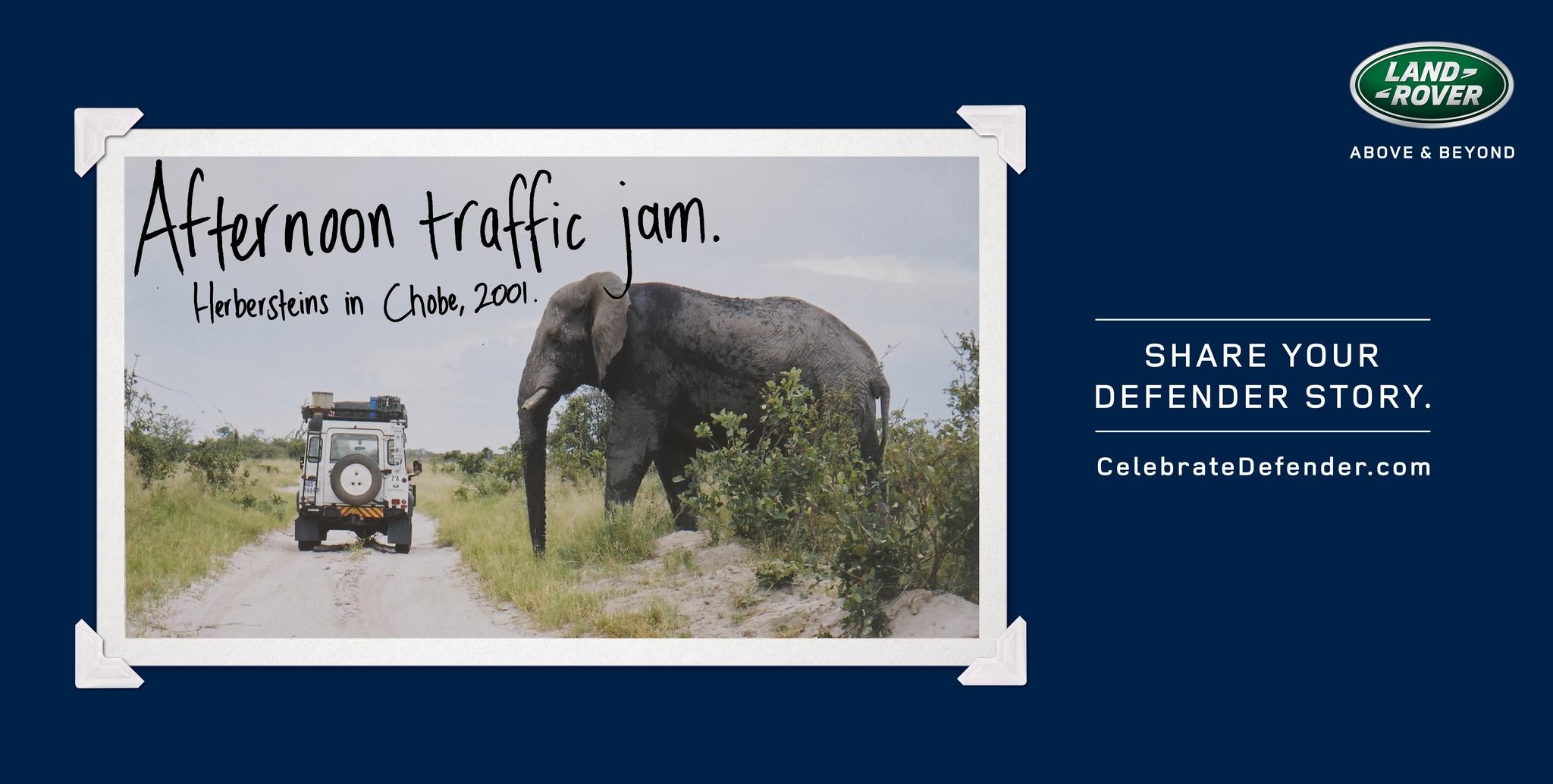 Celebrate Defender | Campaign | THE WORK