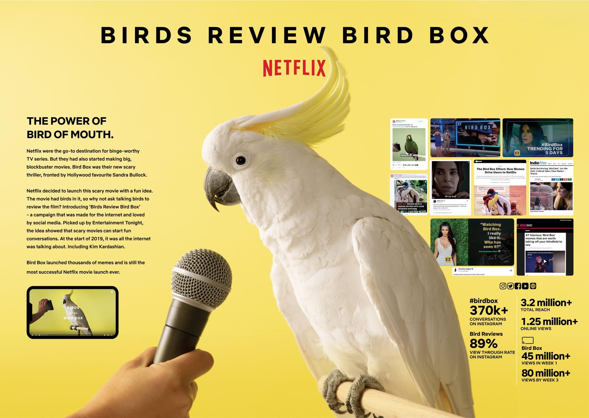 Birds Review Bird Box | Campaign | THE WORK