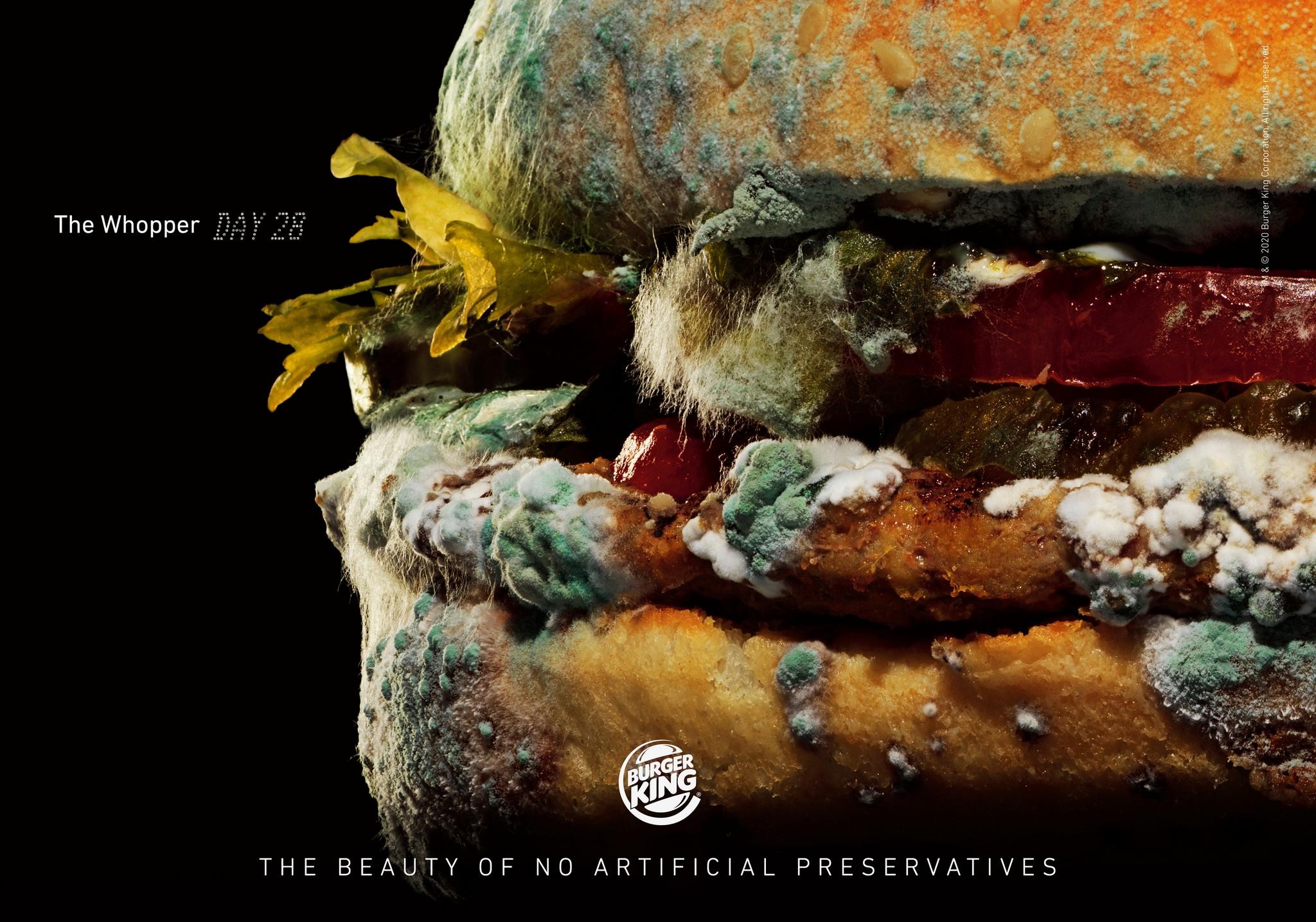 The Moldy Whopper | Campaign | THE WORK