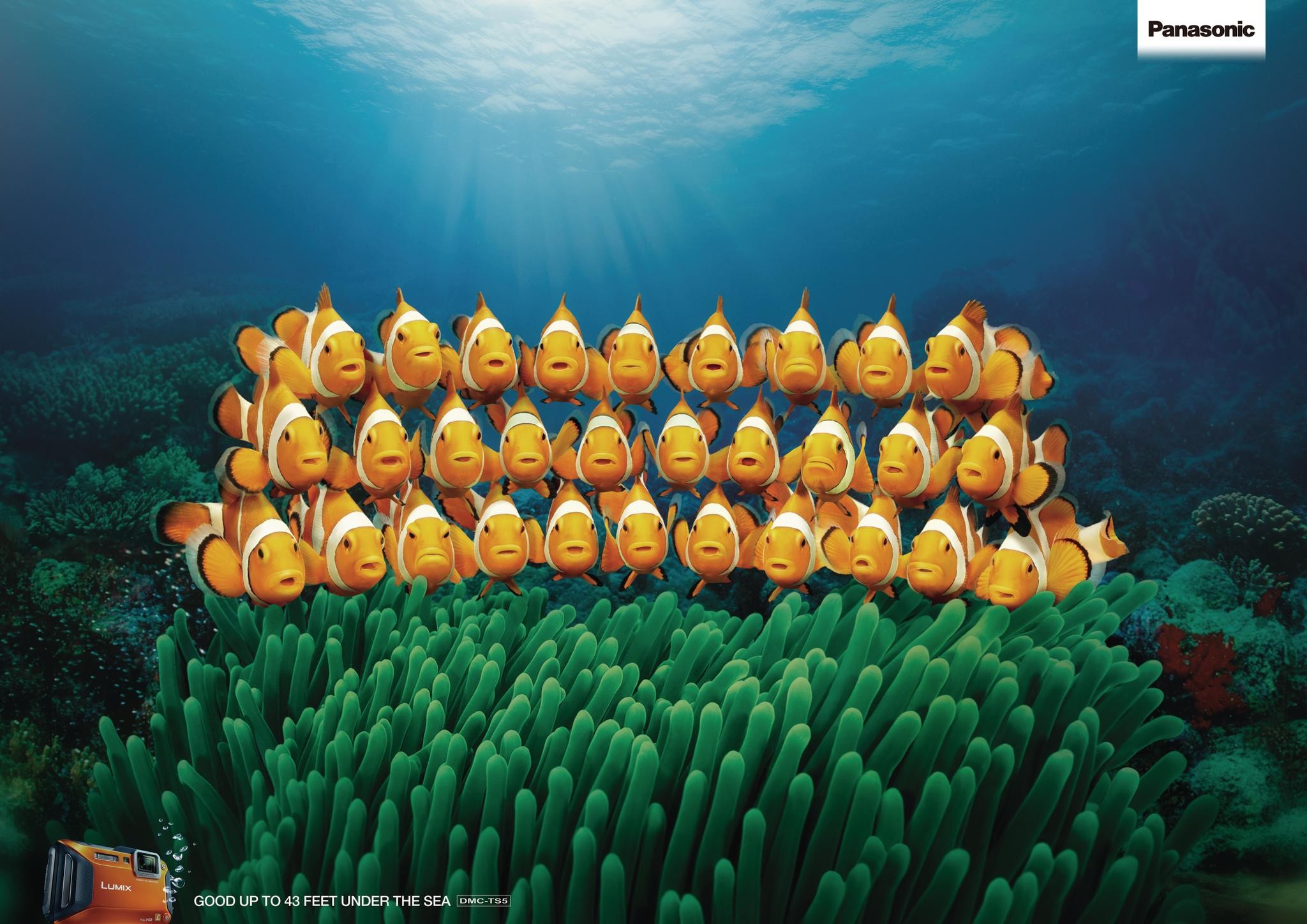 Marine animals | Campaign | THE WORK