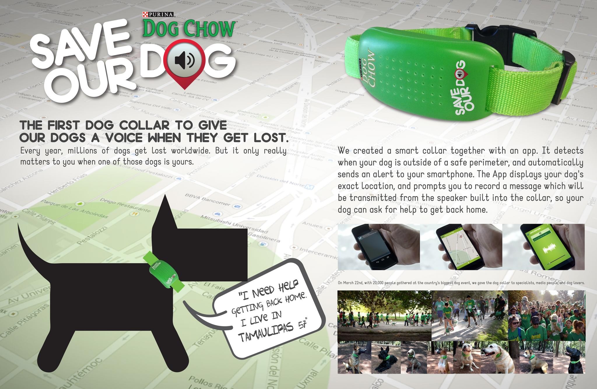 SAVE OUR DOG | Campaign | THE WORK