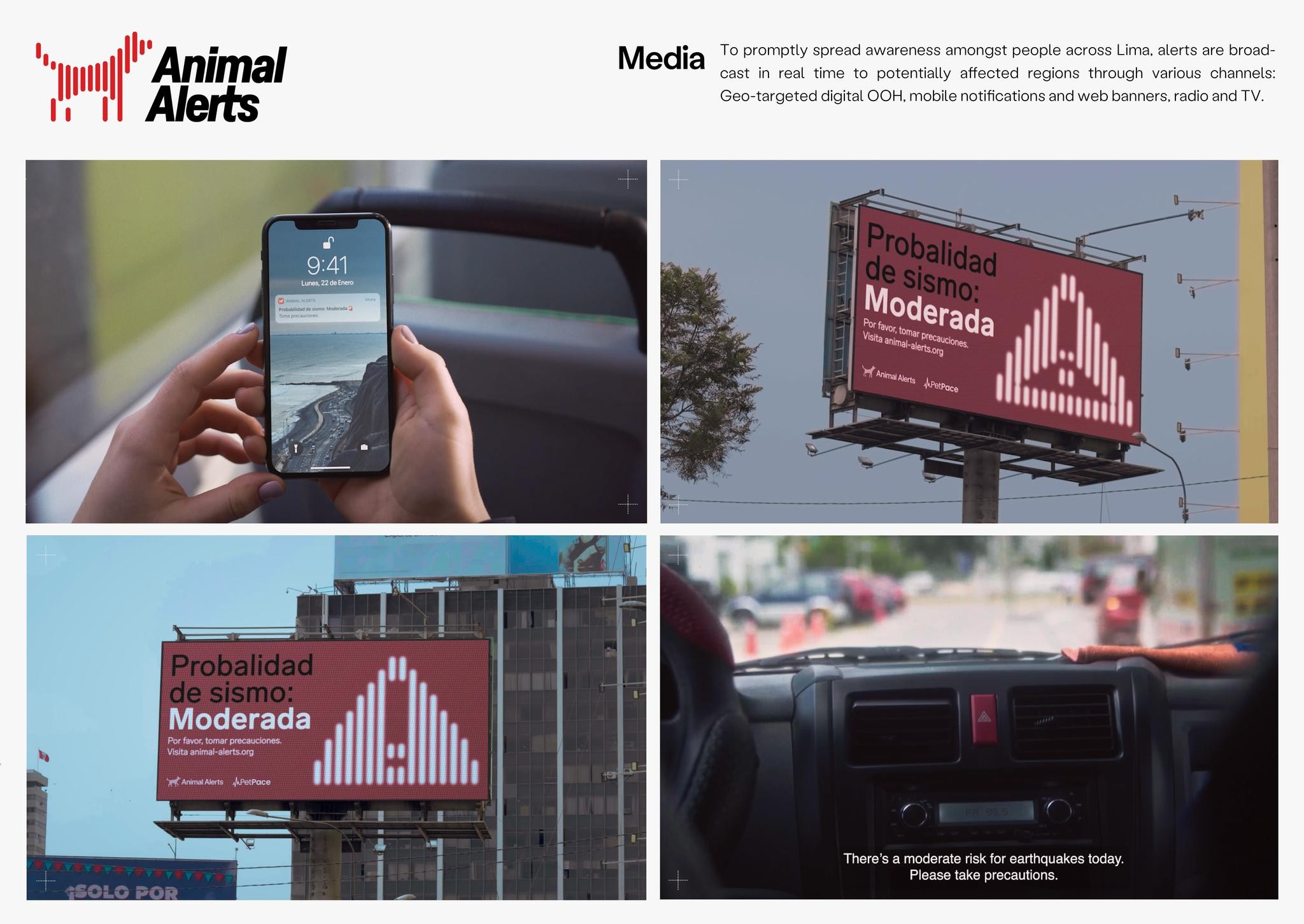 Animal Alerts | Campaign | THE WORK