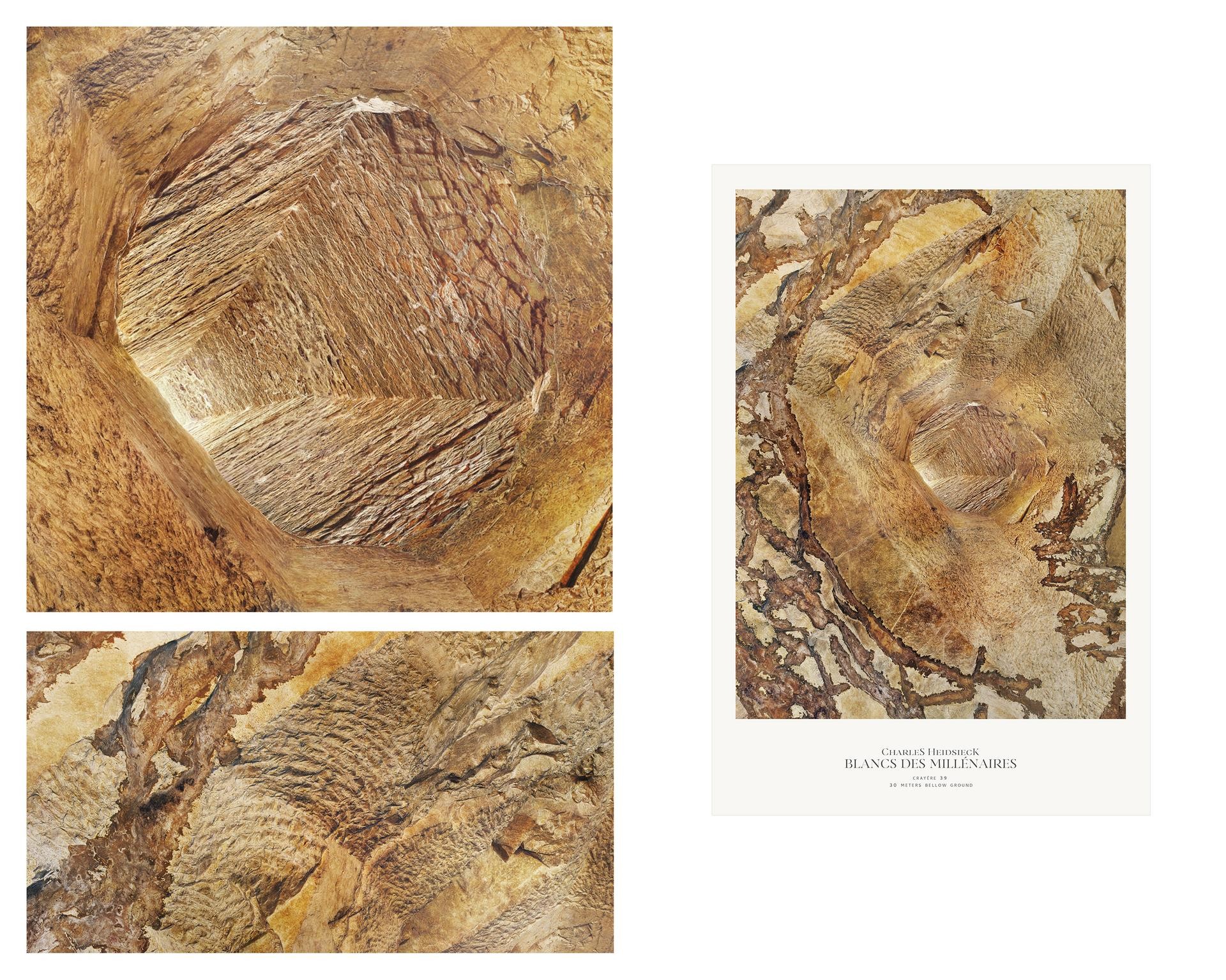 Exploring Depth | Campaign | THE WORK